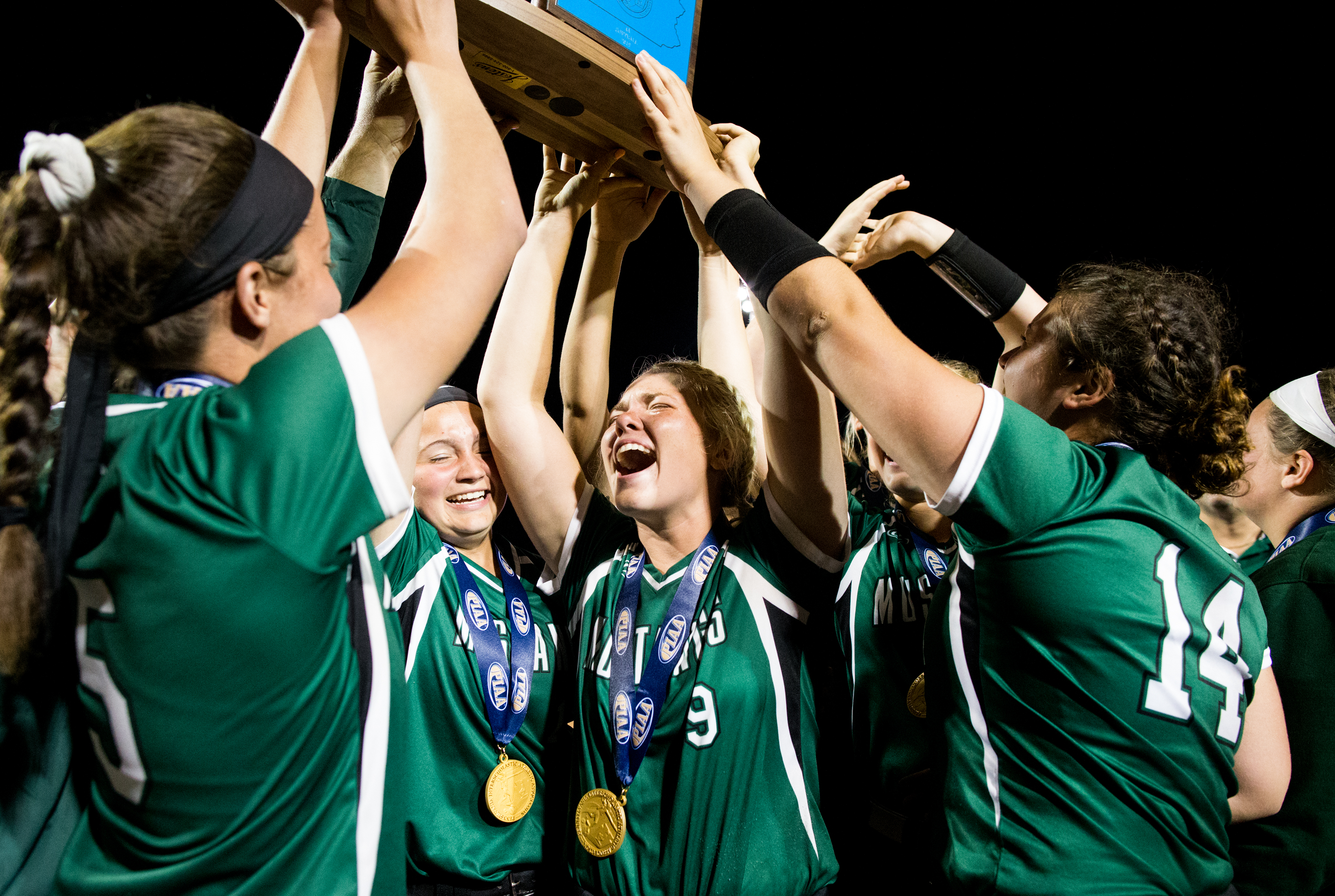 West Perry vs Elizabeth Forward in 4A softball championship - pennlive.com
