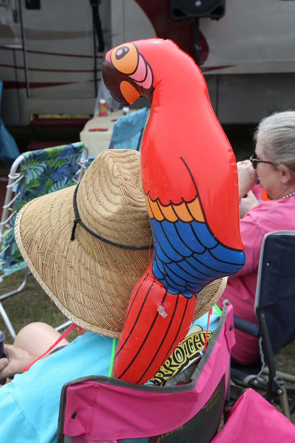 Pittsburgh Parrot Heads