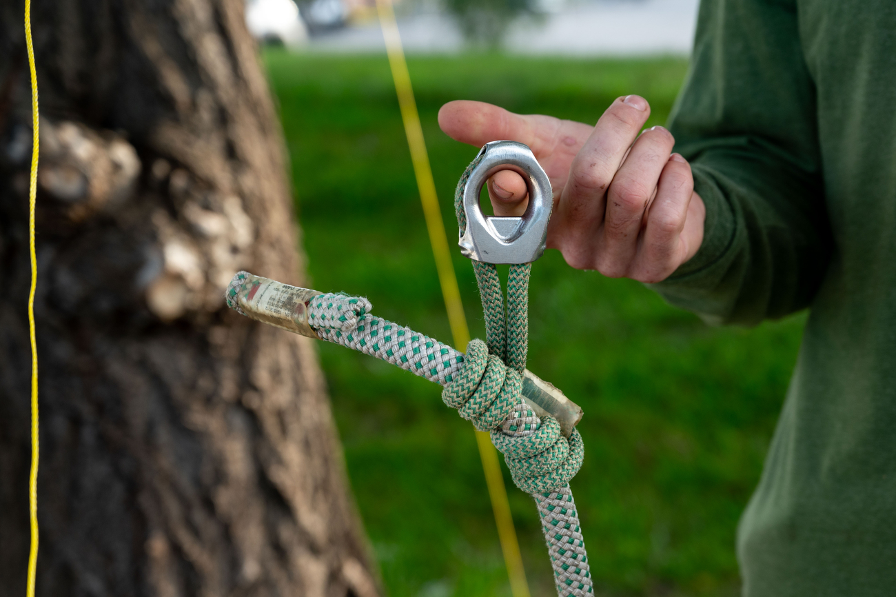 Guardian Tree Experts climbers win Michigan Tree Climbing Championship ...