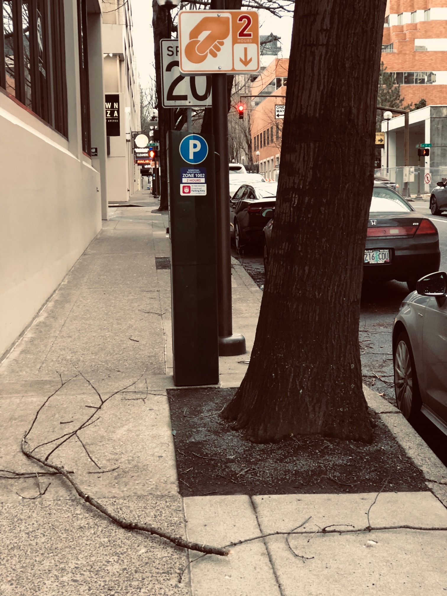 Windstorm aftermath, Portland, Jan. 6, 2019 - oregonlive.com