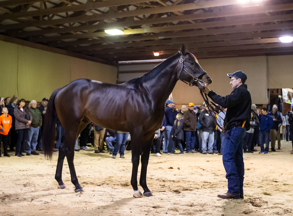 Rally to save horse racing in Pennsylvania - pennlive.com