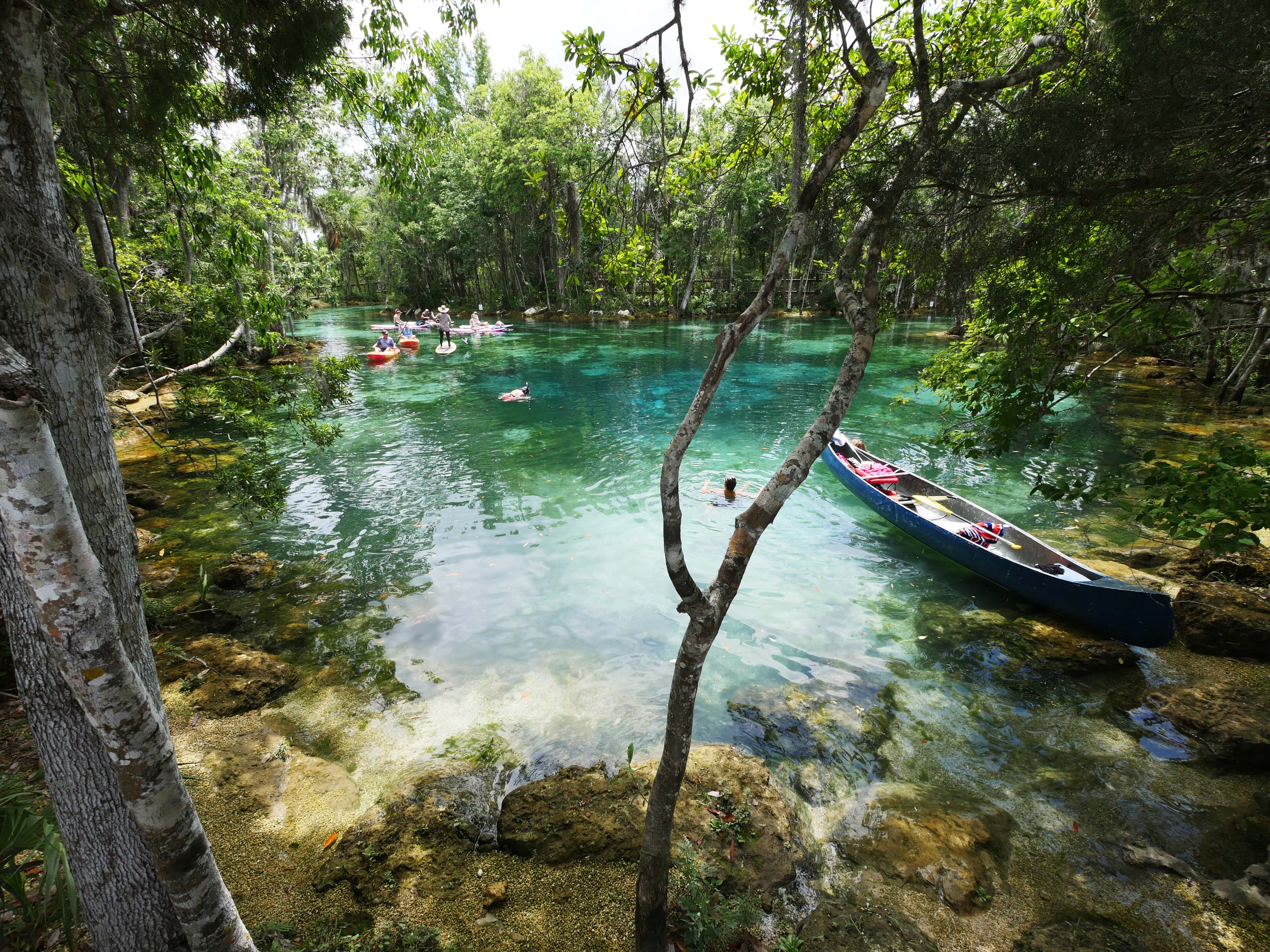 Crystal River, Florida - al.com