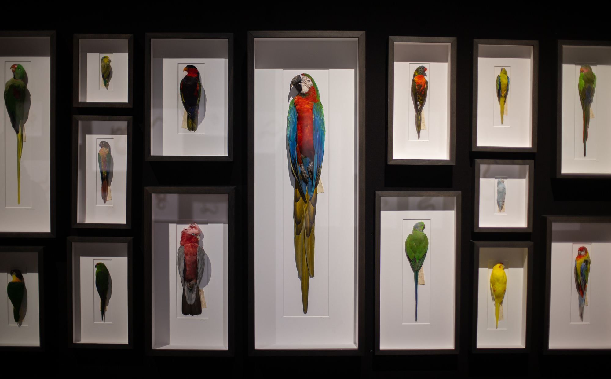 OMSI exhibit Exquisite Creatures by Oregon native Christopher Marley ...