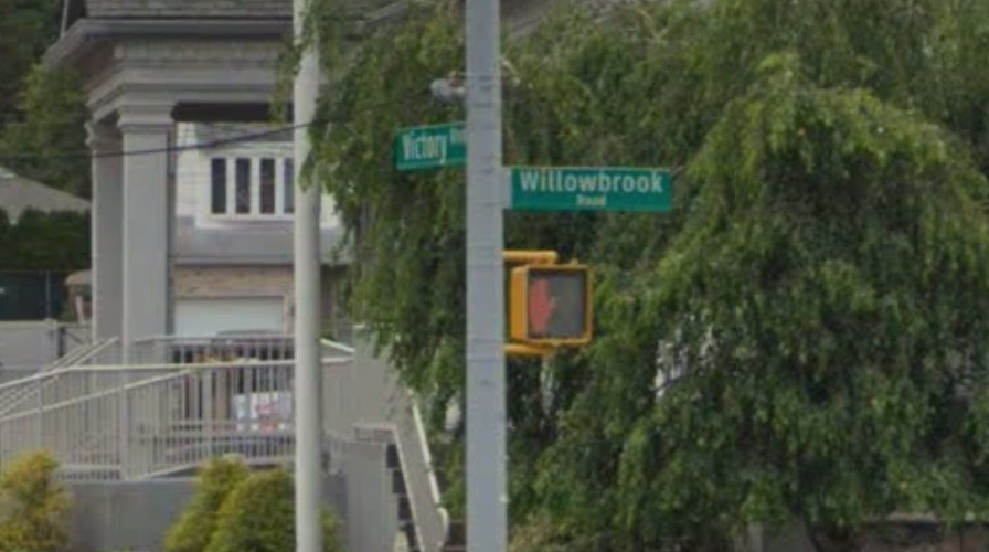 Dog bites man in Willowbrook - silive.com