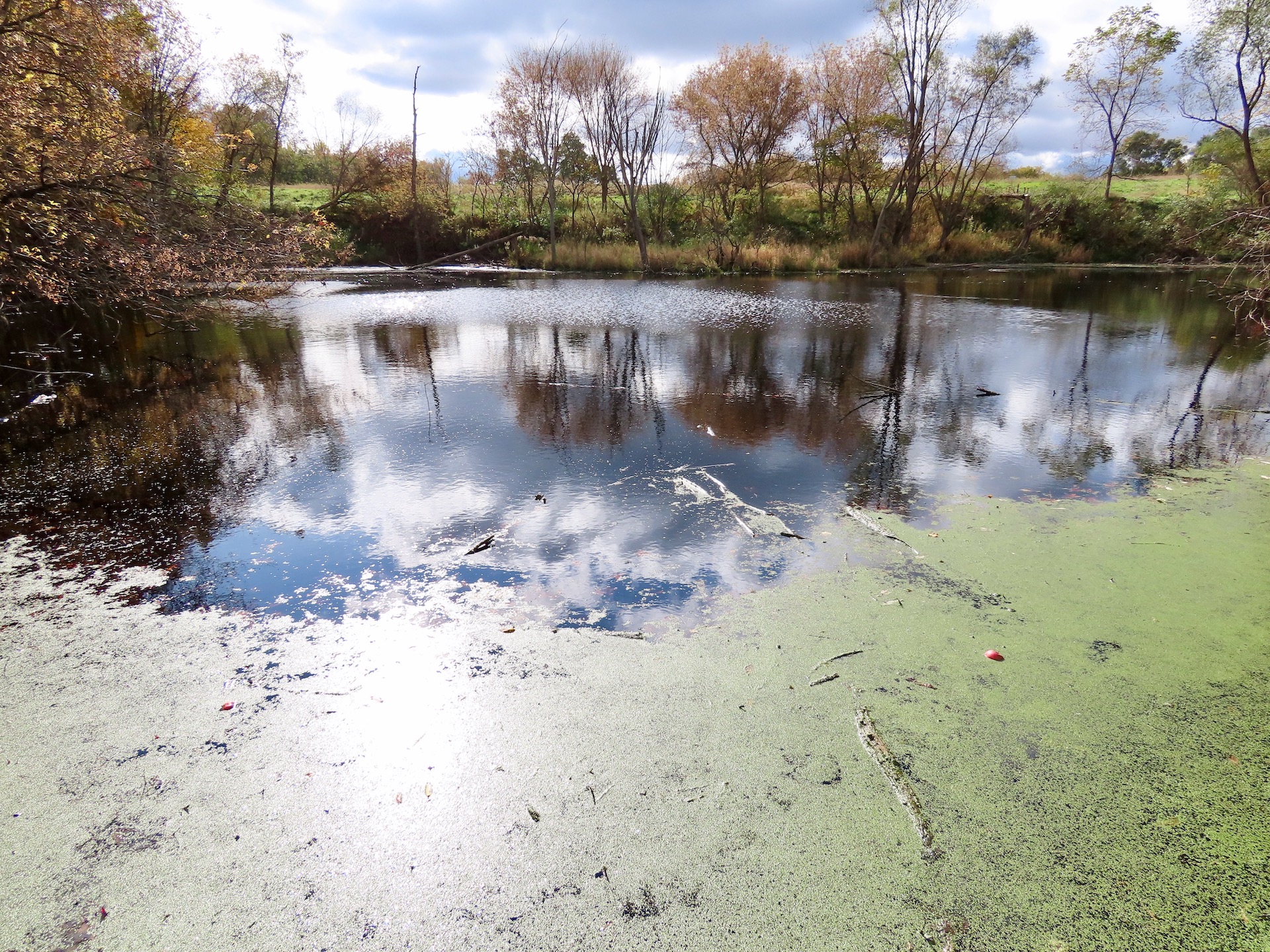 Otsego wants answers to paper sludge pollution concerns - mlive.com