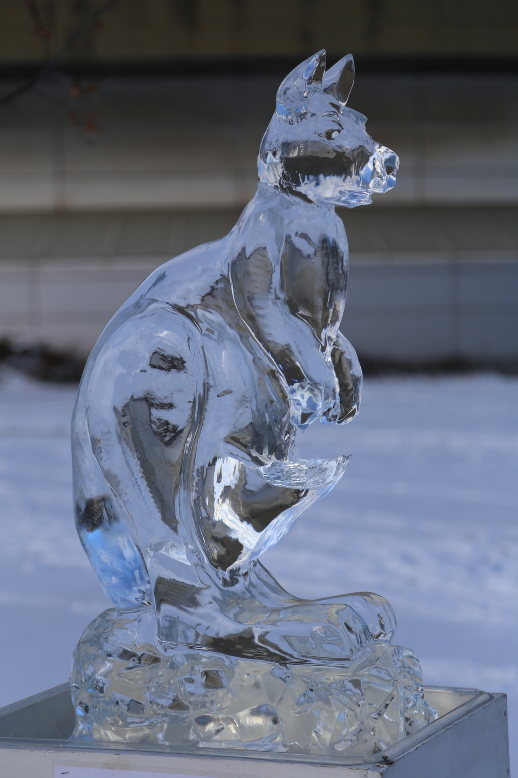Check out these cool (pun intended) ice sculptures at the Ice Fest ...