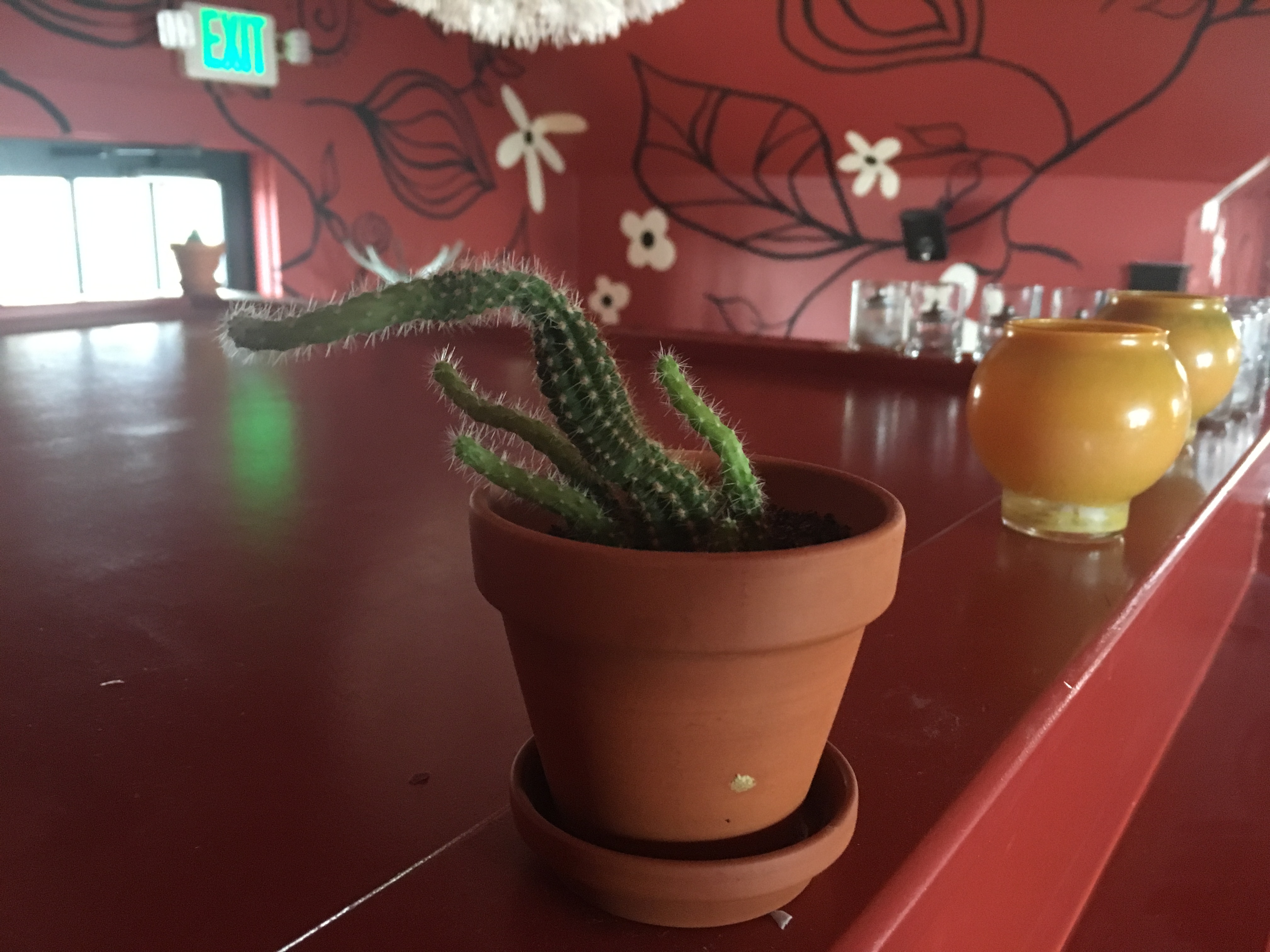 Felice Urban Cafe - cleveland.com