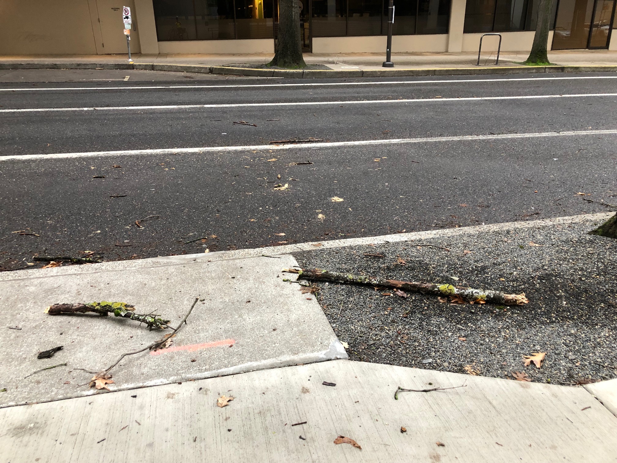 Windstorm aftermath, Portland, Jan. 6, 2019 - oregonlive.com