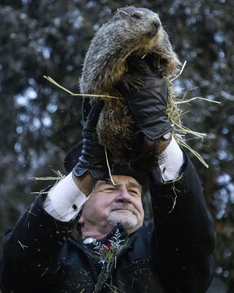 Will Punxsutawney Phil see his shadow on this 2019 Groundhog Day ...