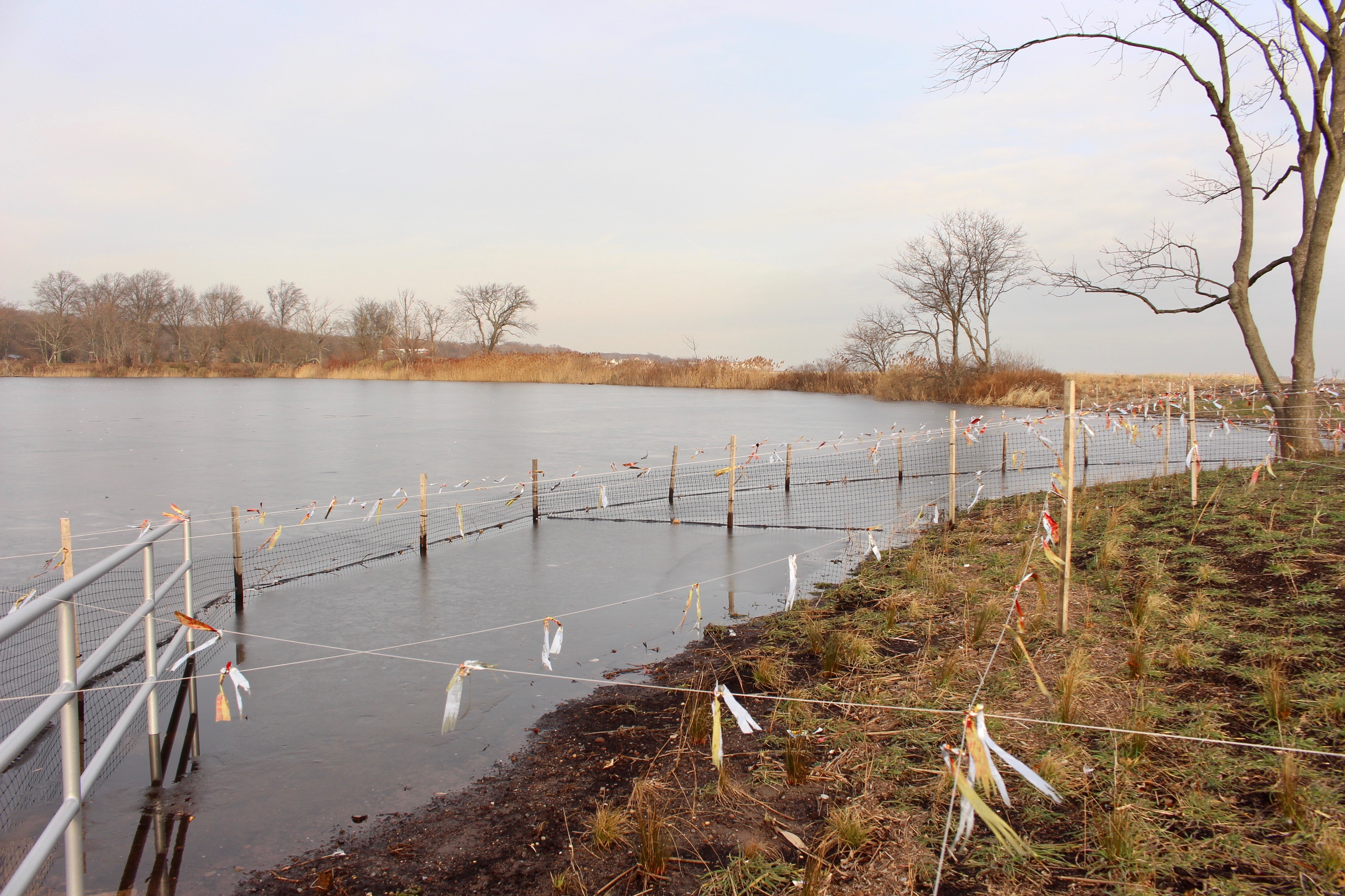 Wolfe's Pond berm reconstructed, new basketball courts coming - silive.com