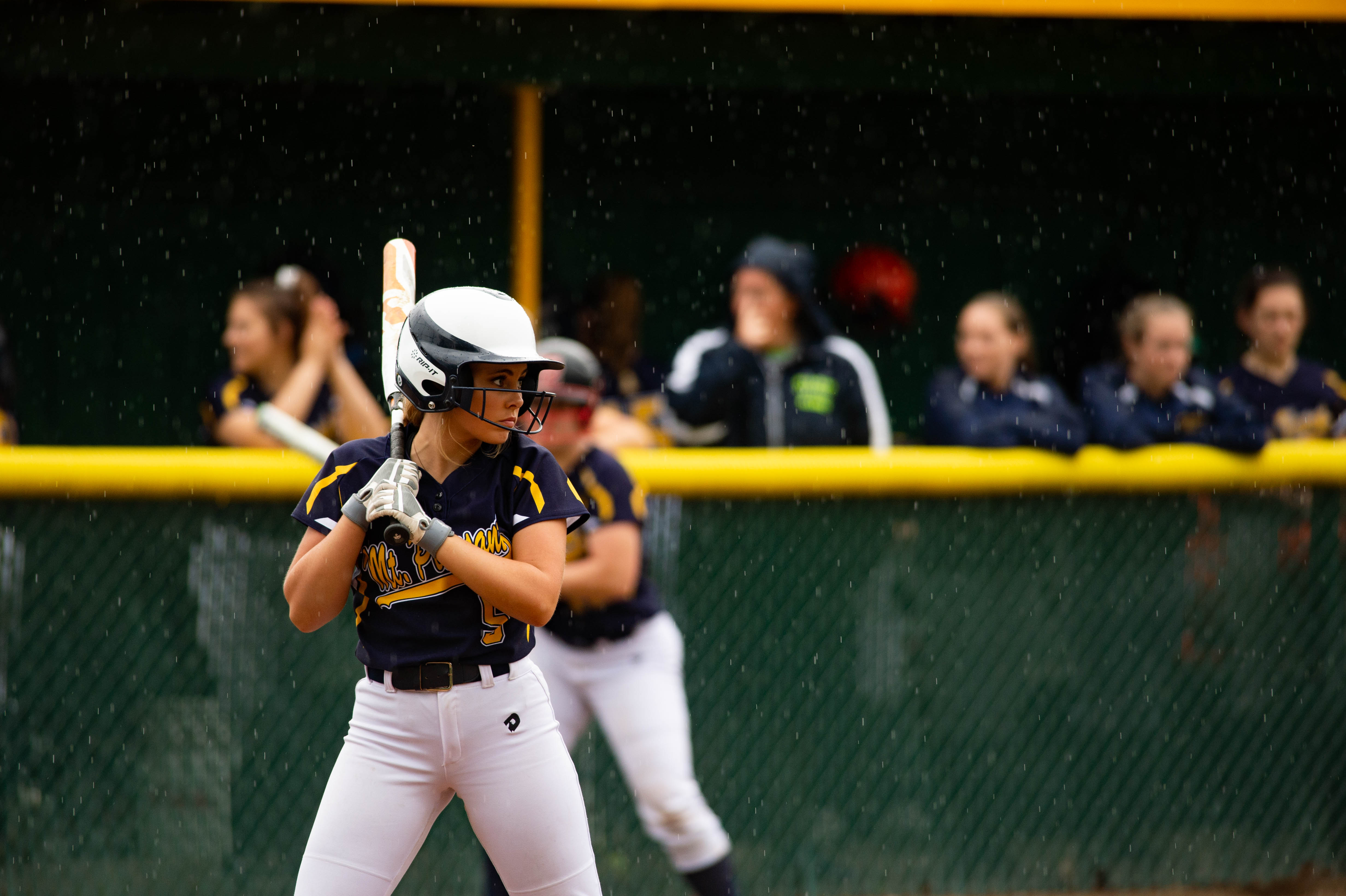 Division one baseball and softball tournament - mlive.com