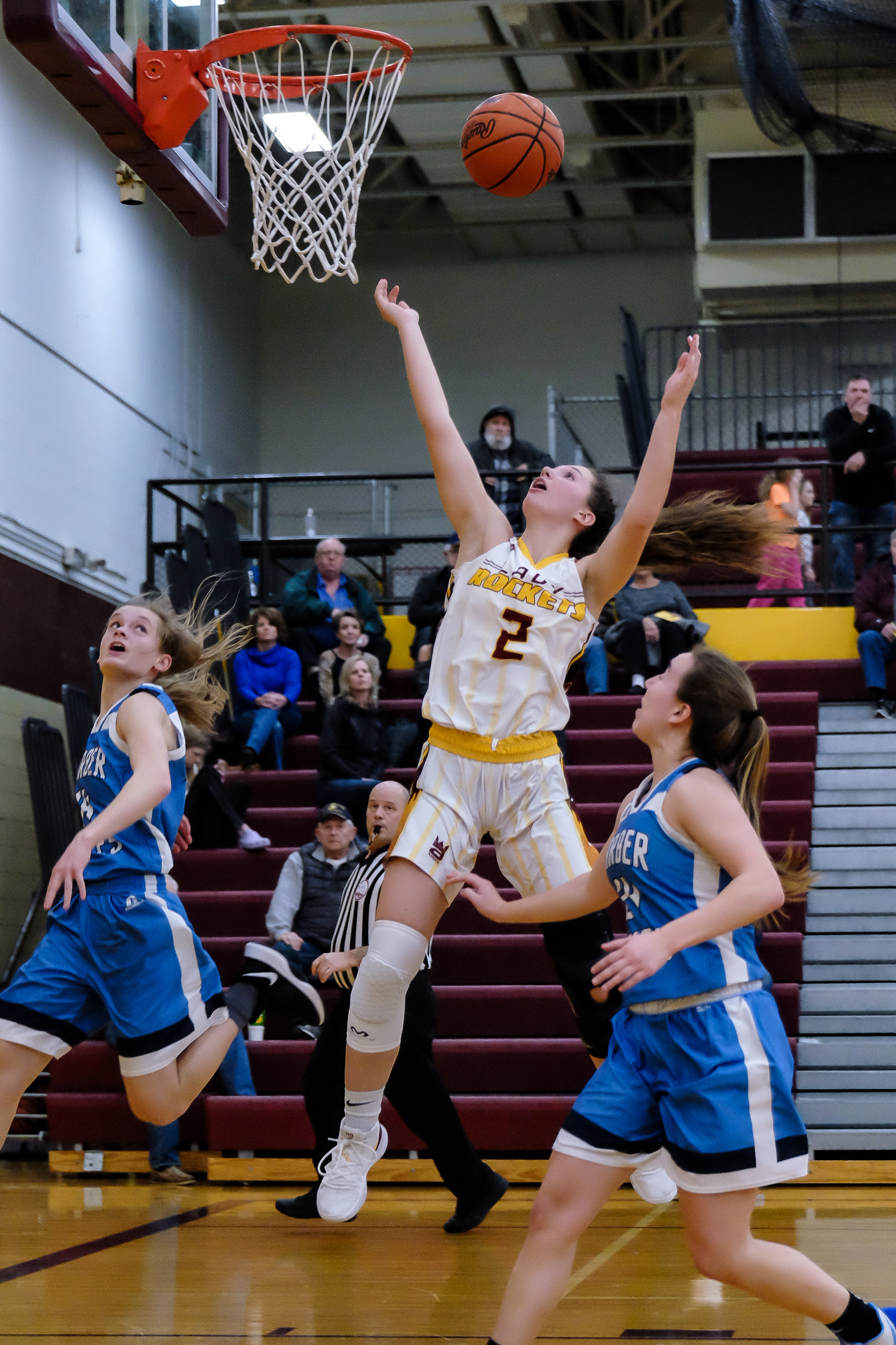 Reese girls basketball defeats Garber 59-51 - mlive.com