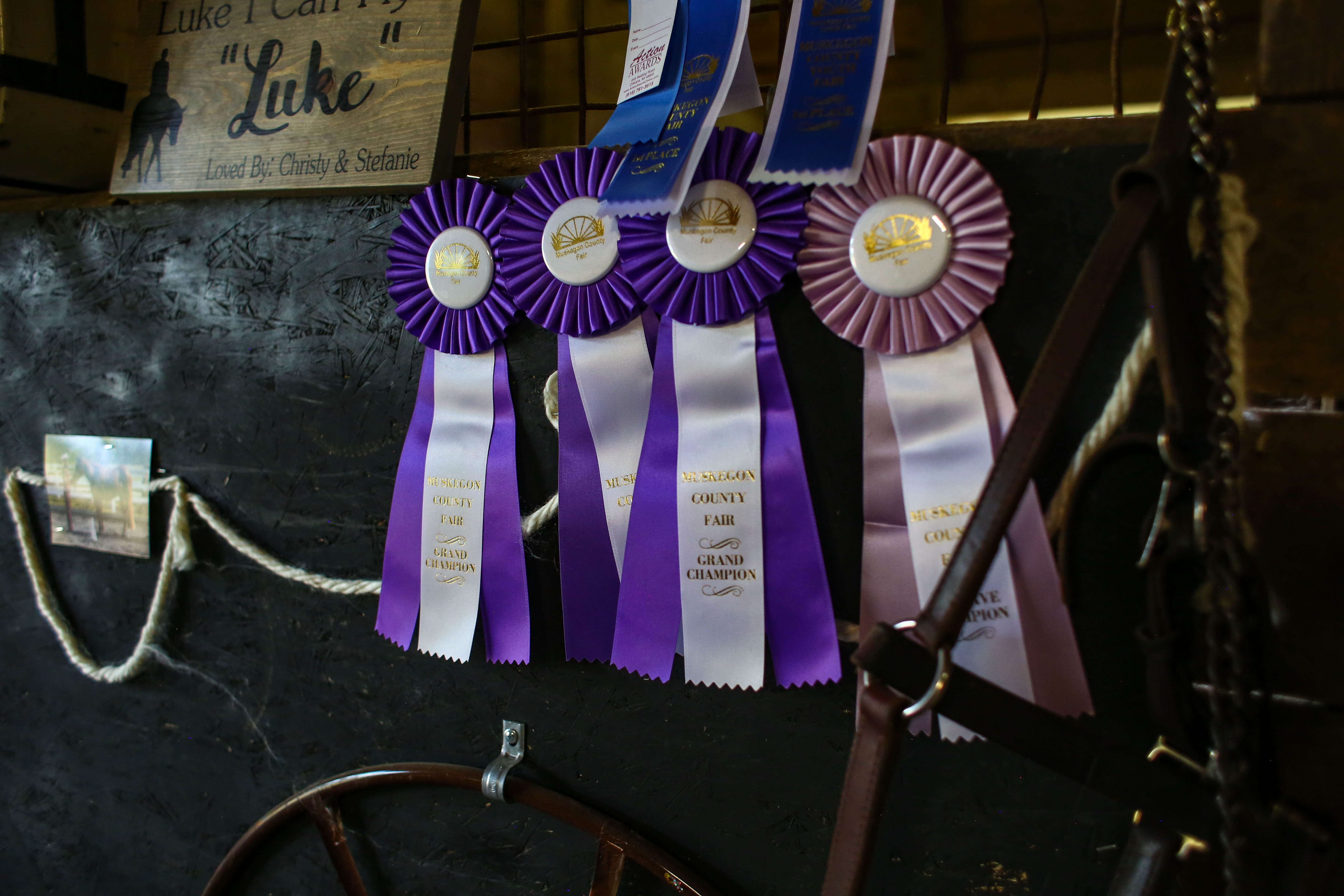 See photos from Muskegon County Fair 2019 - mlive.com