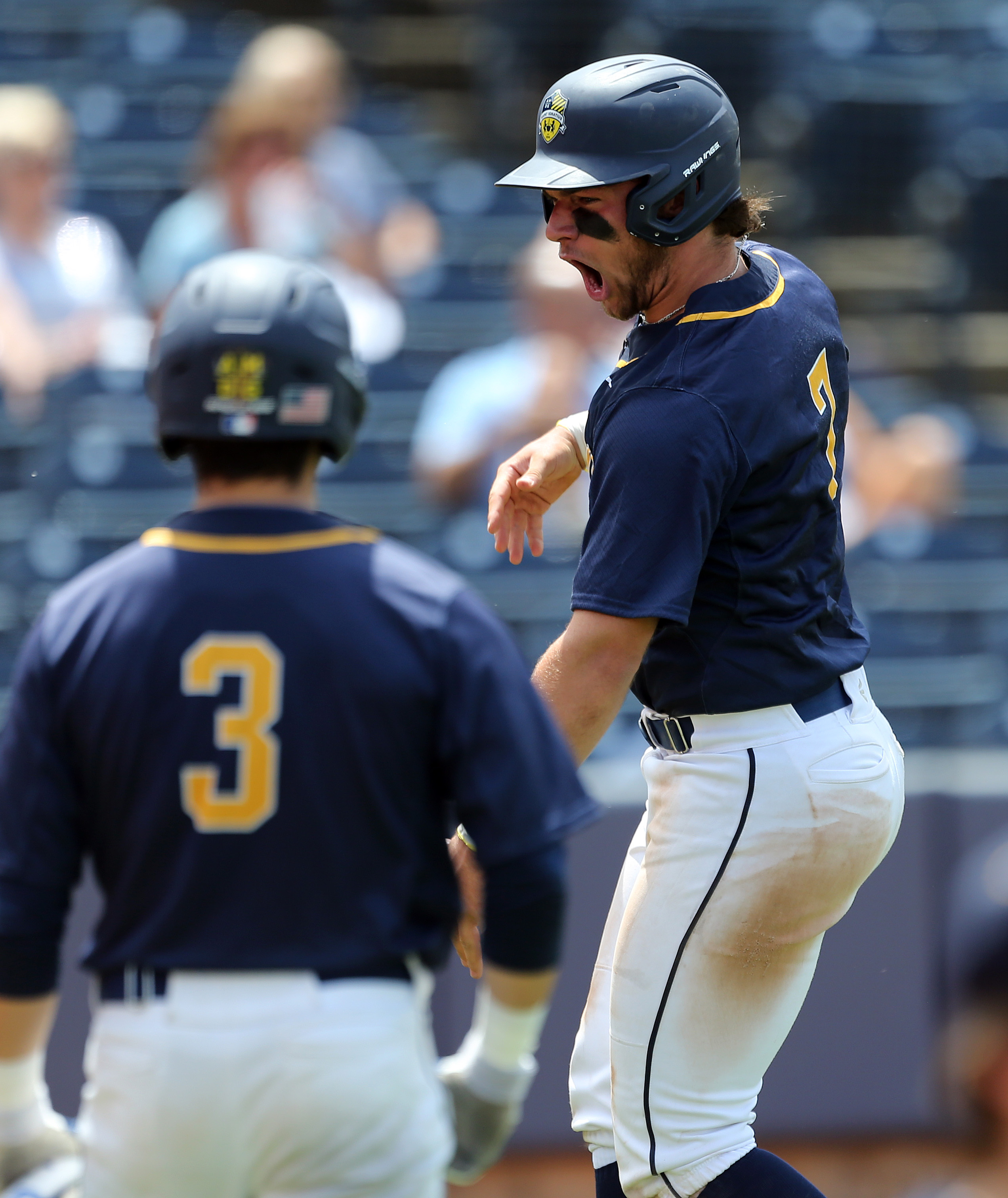 St. Ignatius vs. Hilliard Darby in the boys division I state baseball ...