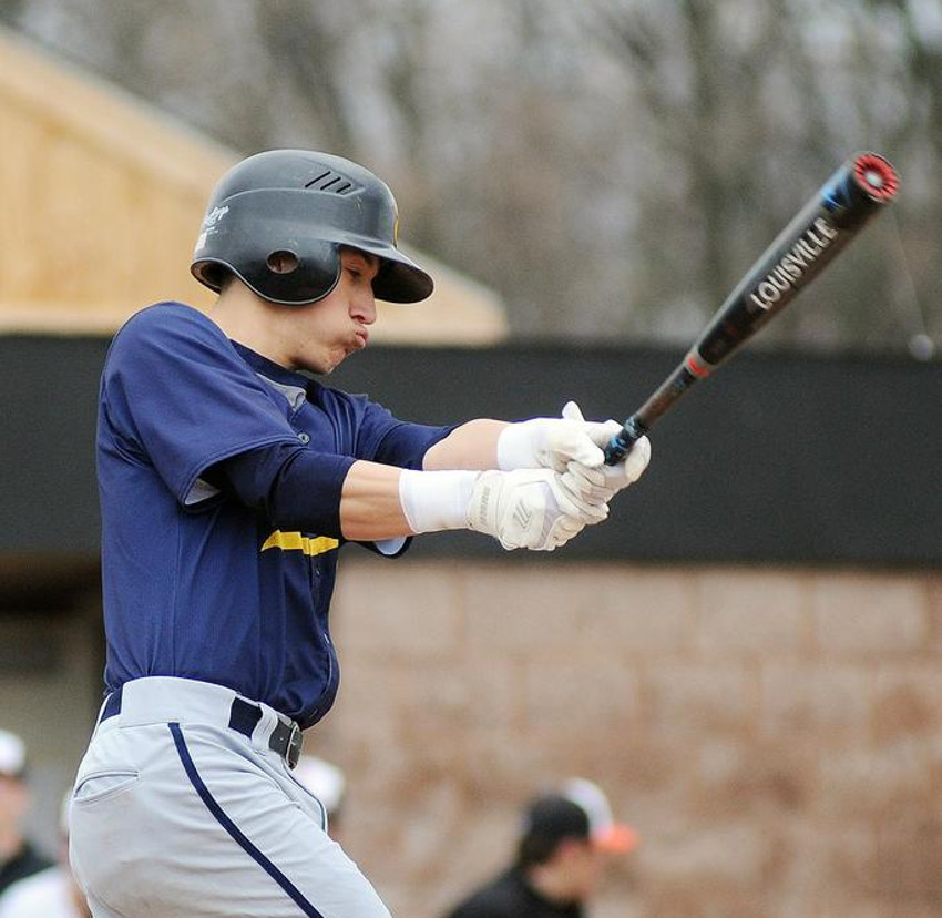 Grand Rapids baseball, softball Dream Teams for 2019 - mlive.com