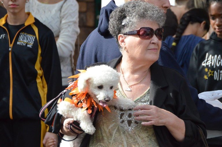 Bergen Point Fall Fest celebrates 150 years of Bayonne with free fun ...