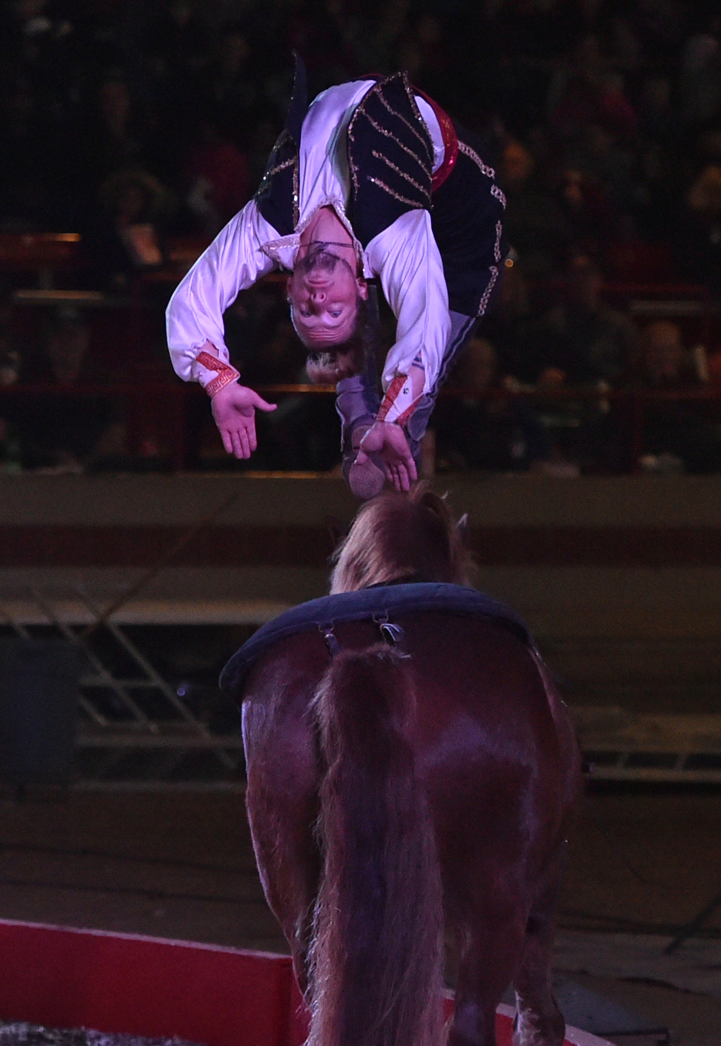 86th Annual Tigris Shrine Circus - syracuse.com