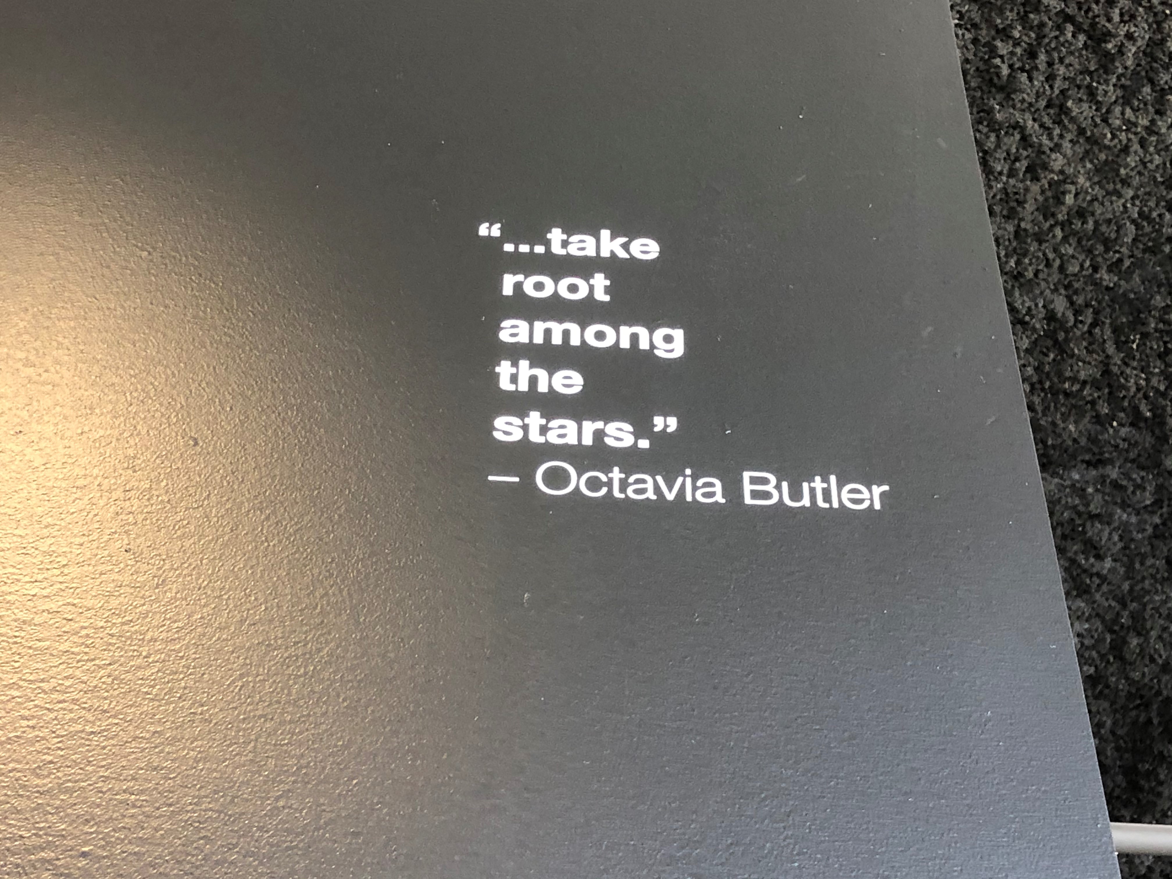 A Beautiful Struggle: Black Feminist Futurism to open at UICA - mlive.com