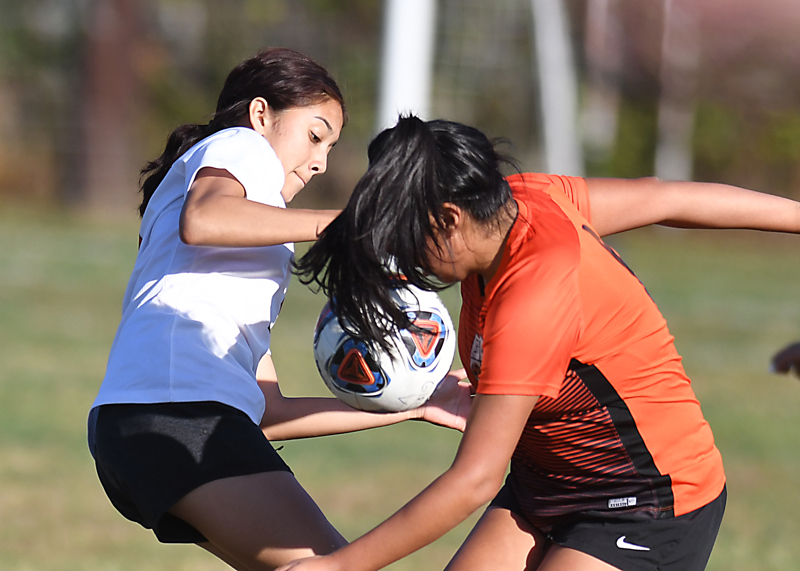 Trenton Girls Soccer takes on Hamilton West on Senior Day in Hamilton ...