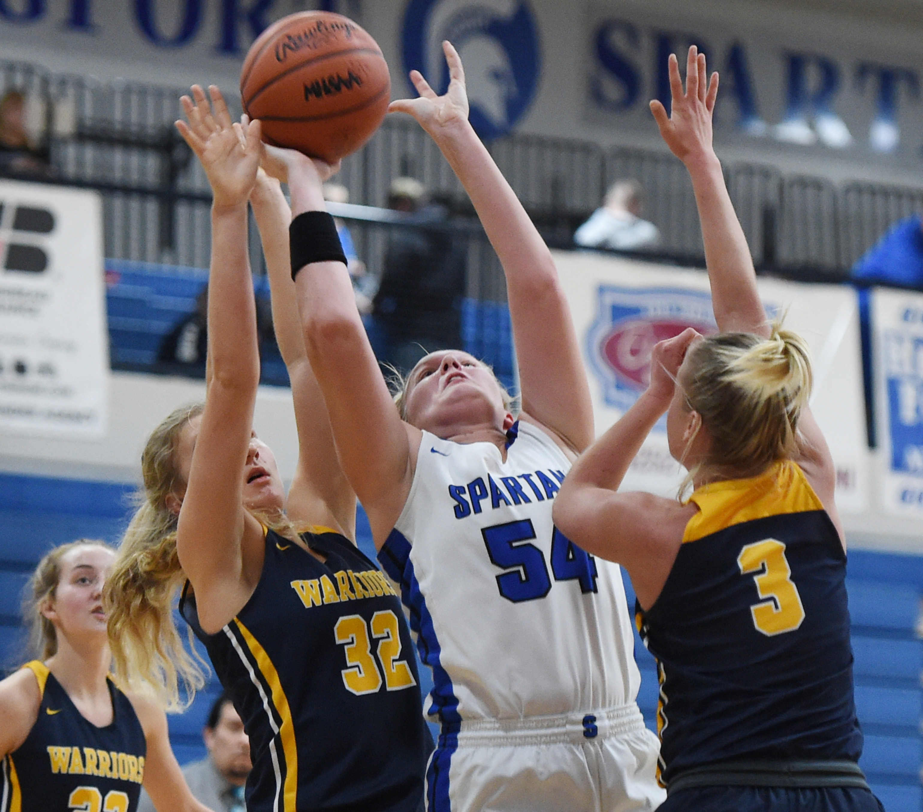 Alana Nelson breaks Springport girls basketball records - mlive.com