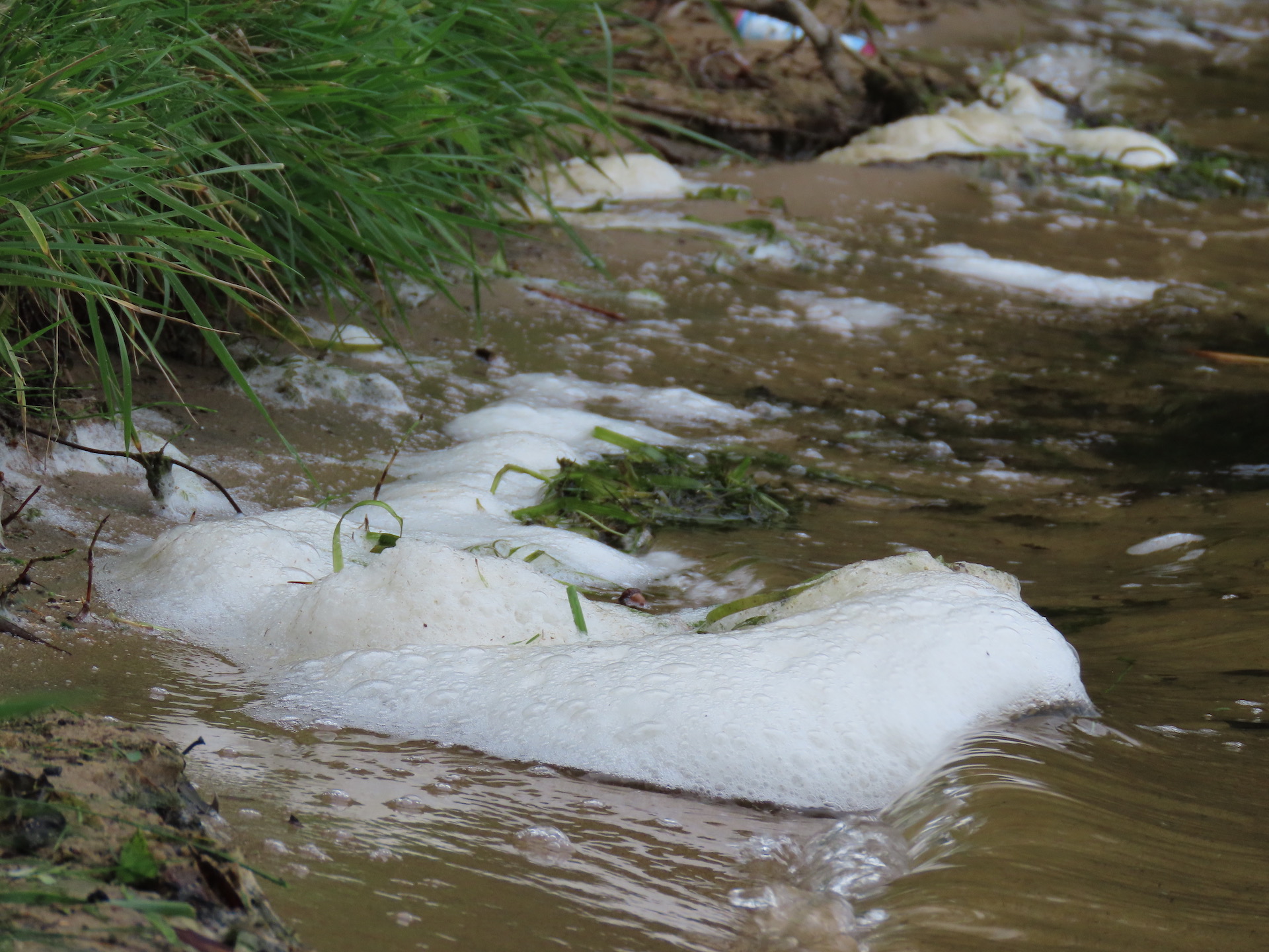 Michigan PFAS activists gather in Oscoda to demand cleanup - mlive.com