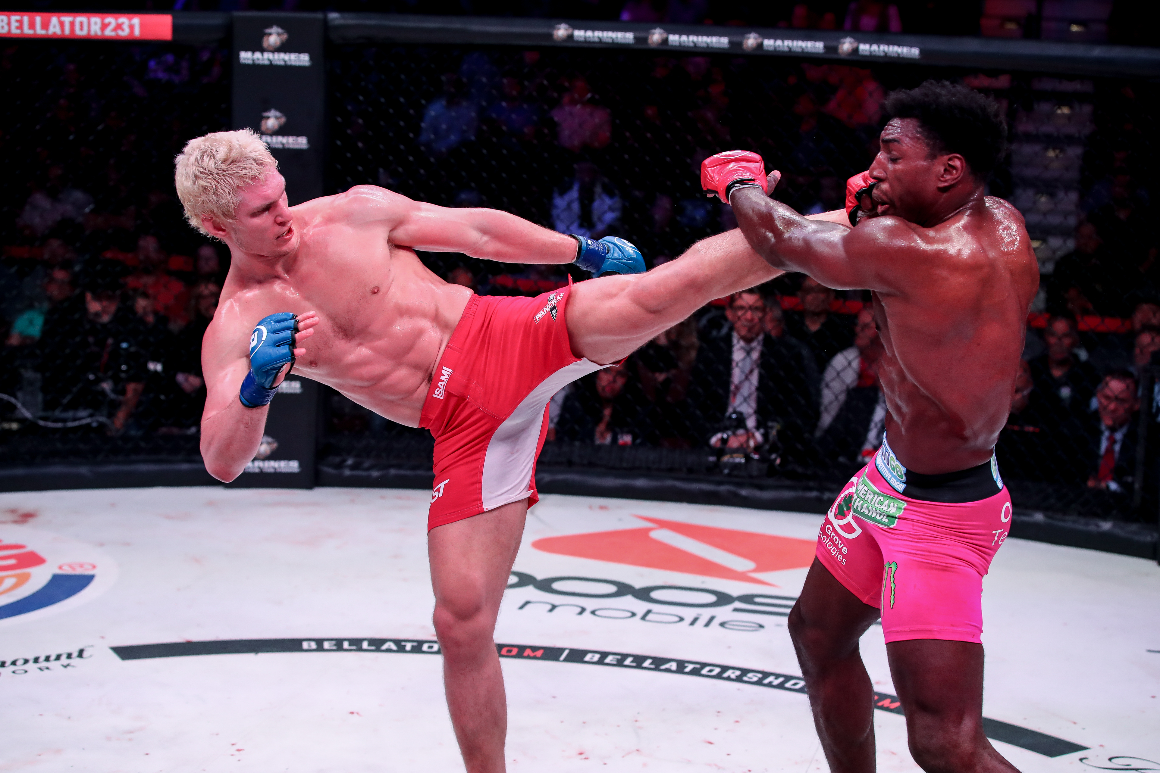Phil Davis defeats Karl Albrektsson at Bellator 231 - pennlive.com