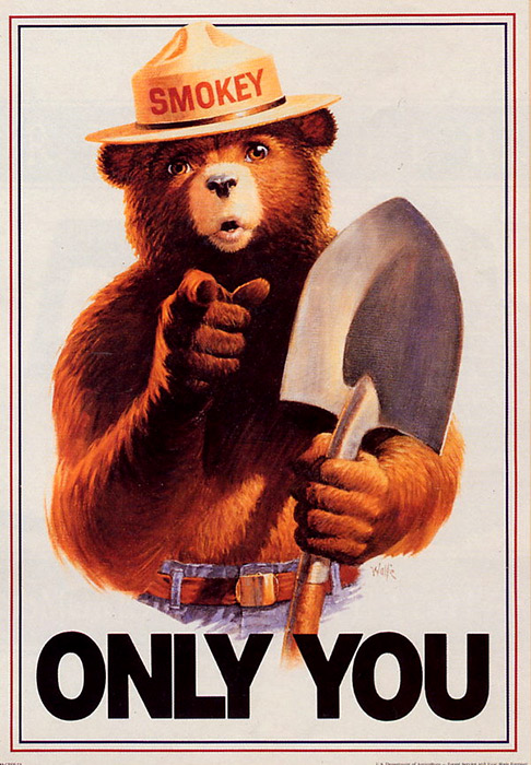 Smokey Bear posters through the years - pennlive.com