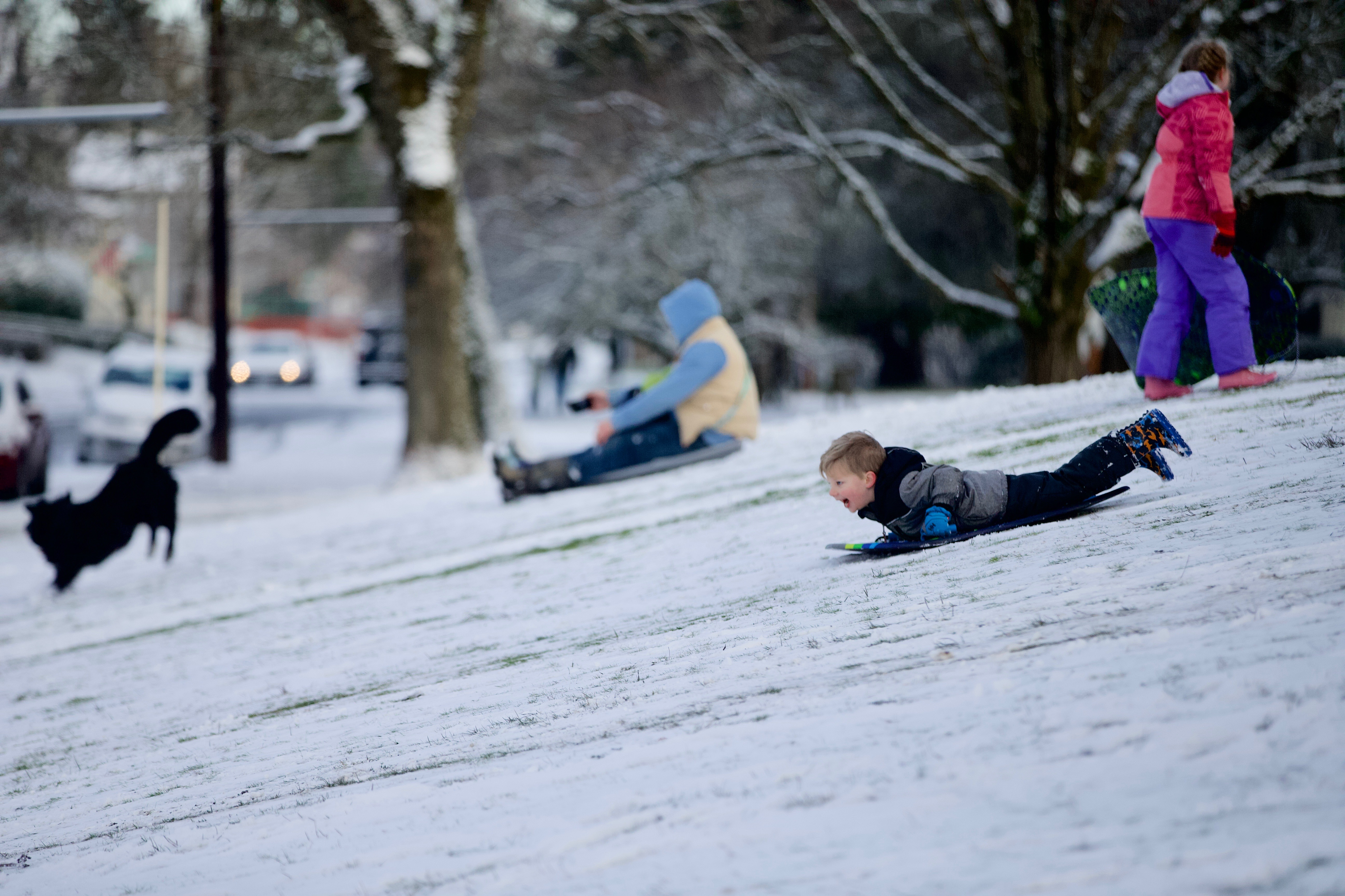 Photos: Portland wakes up to snow - oregonlive.com
