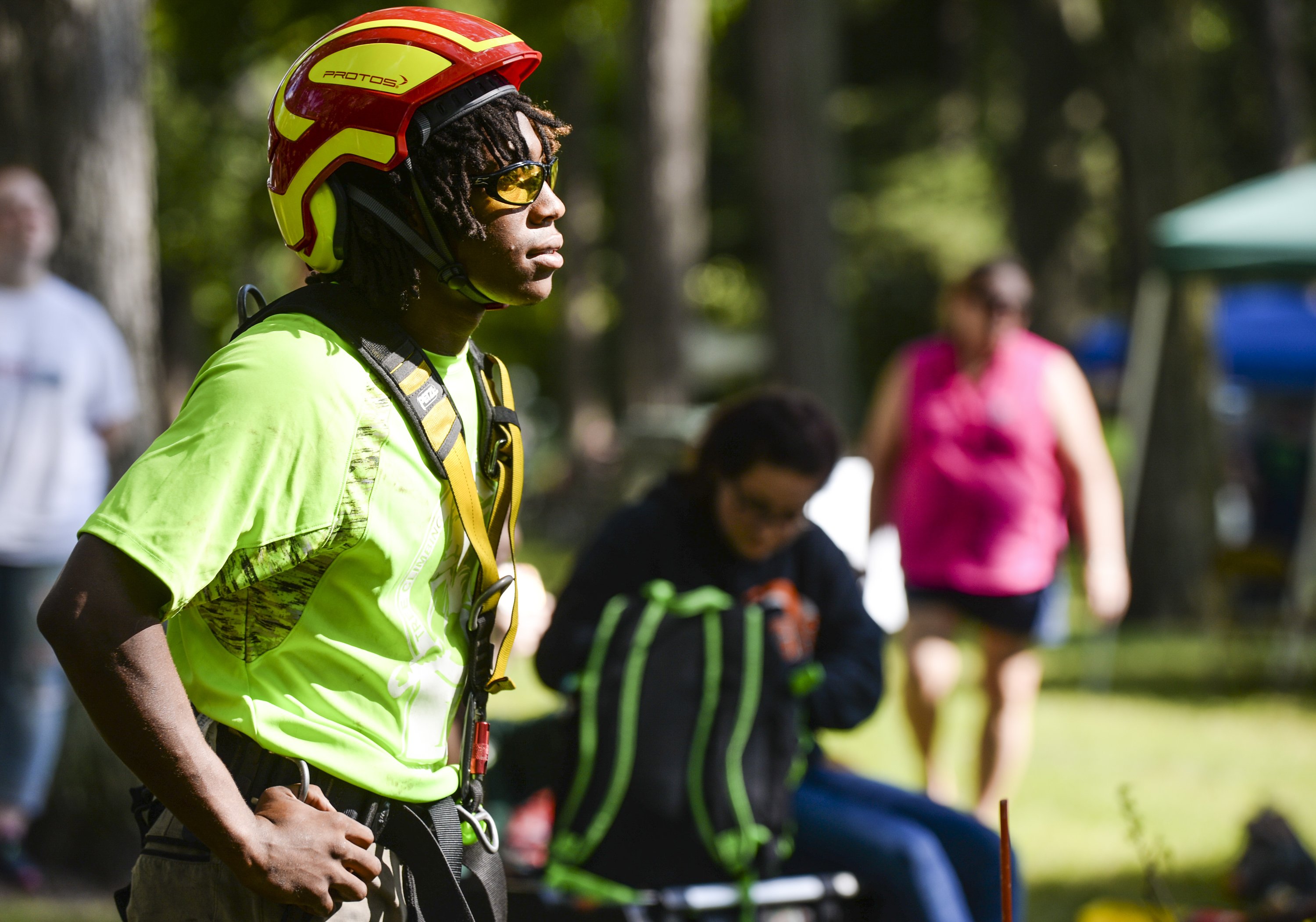 Michigan Tree Climbing Championship coming to Traverse City - mlive.com