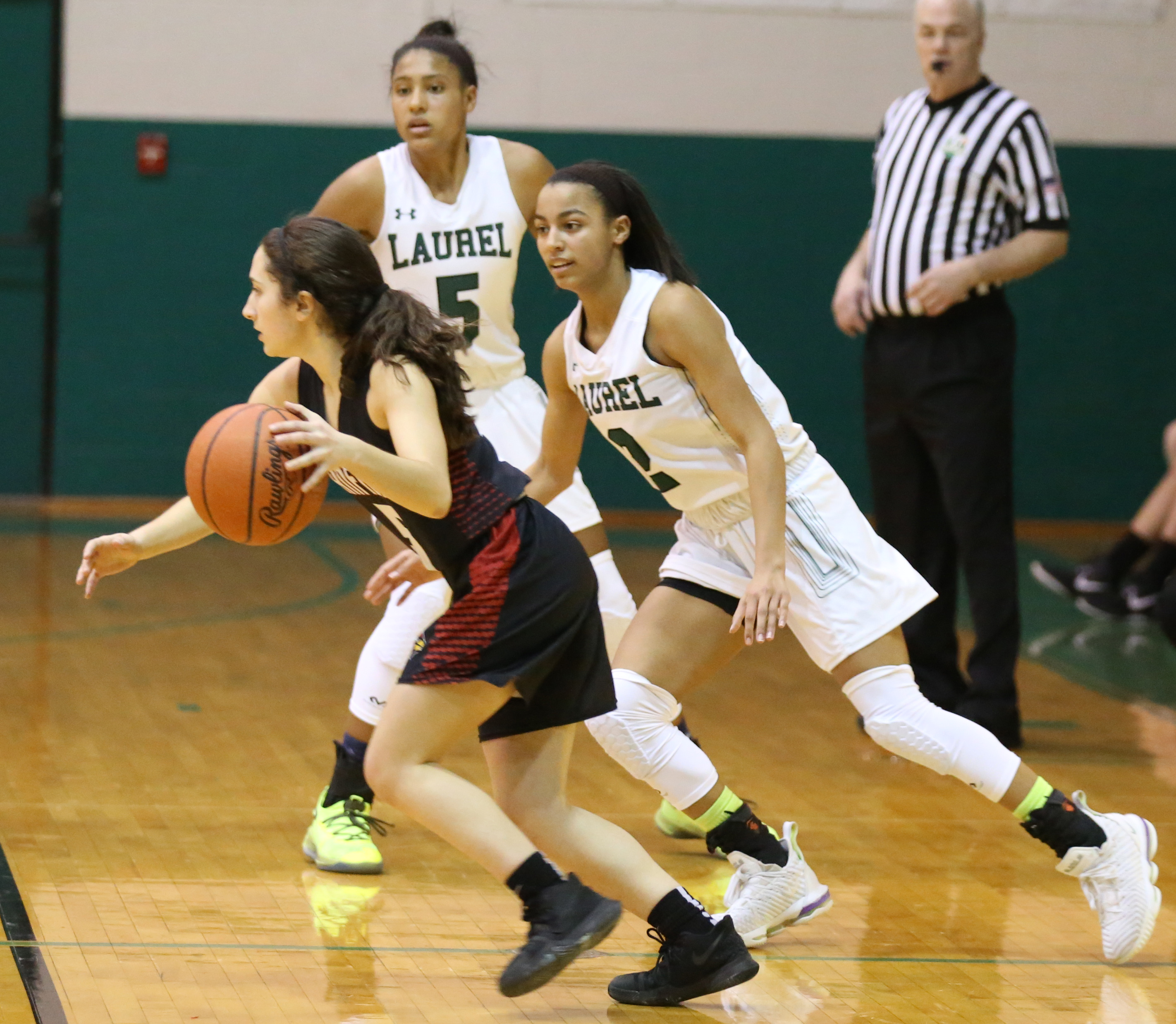 Laurel School's sister duo, Haley and Taylor Thierry - cleveland.com