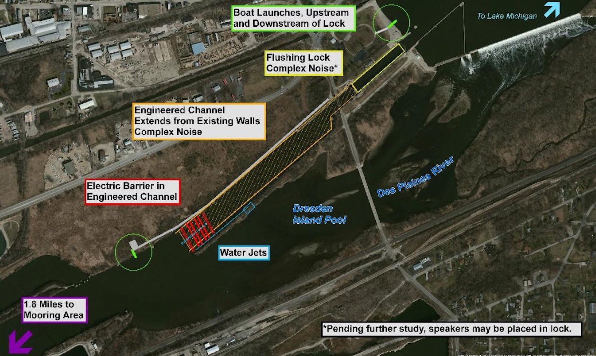 Asian carp control in Illinois - mlive.com