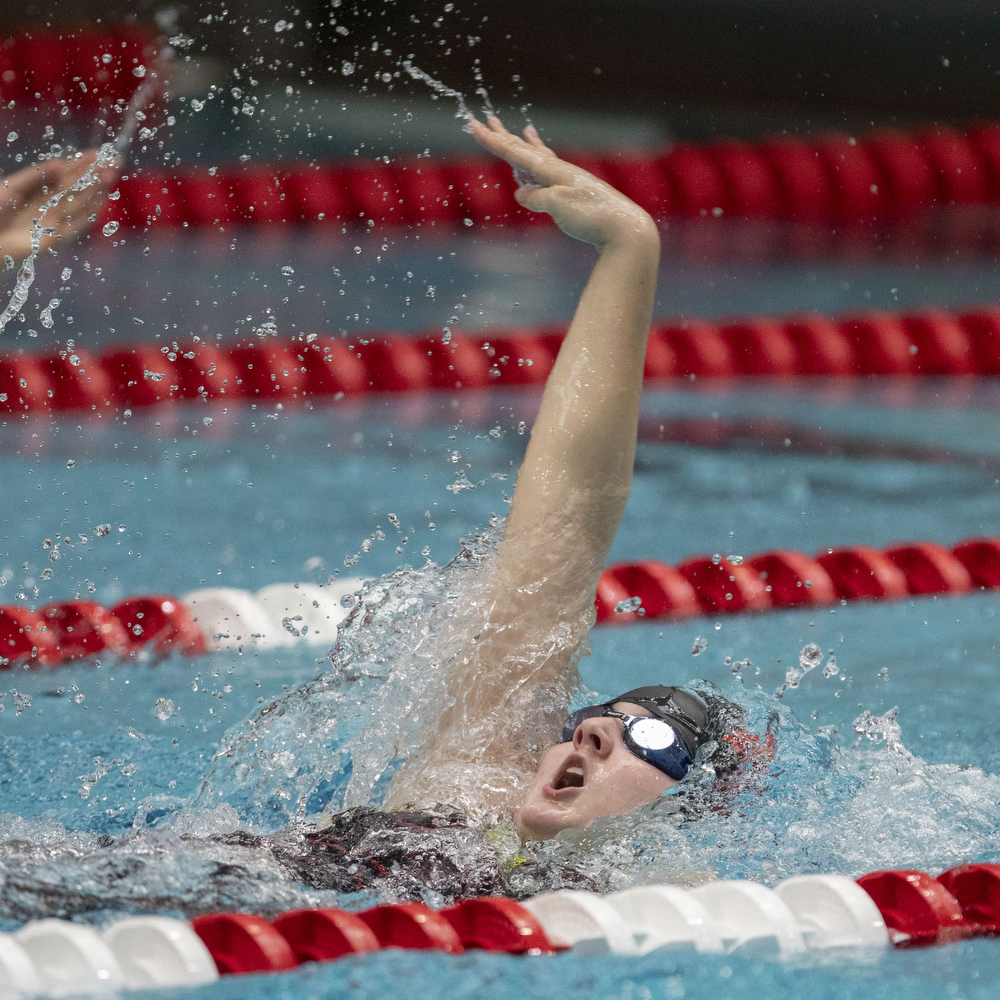 Schuylkill Valley girls lead the District 3, Class AA swimming ...