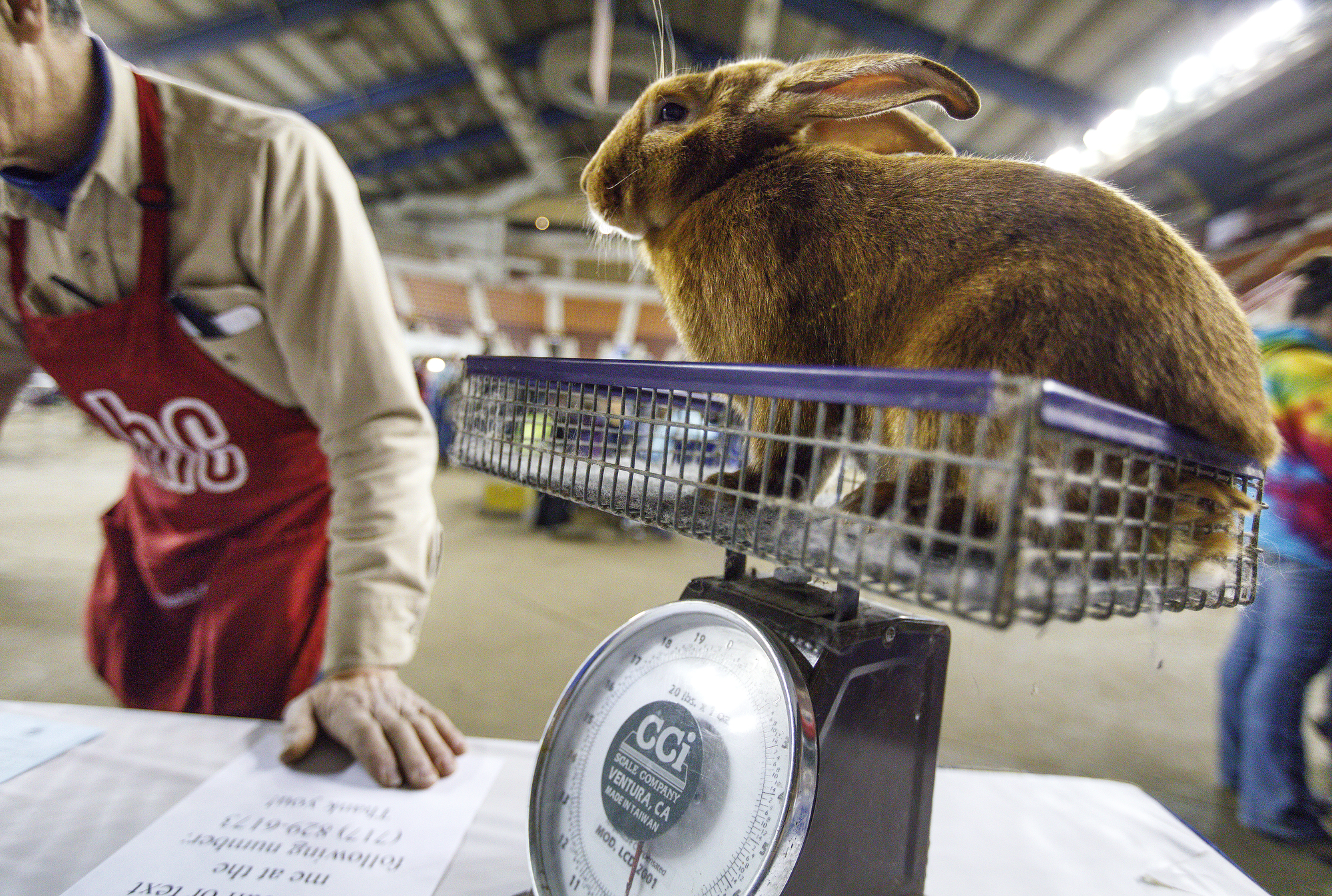 Pa. State Farm Show: Best photos from 2018 - pennlive.com