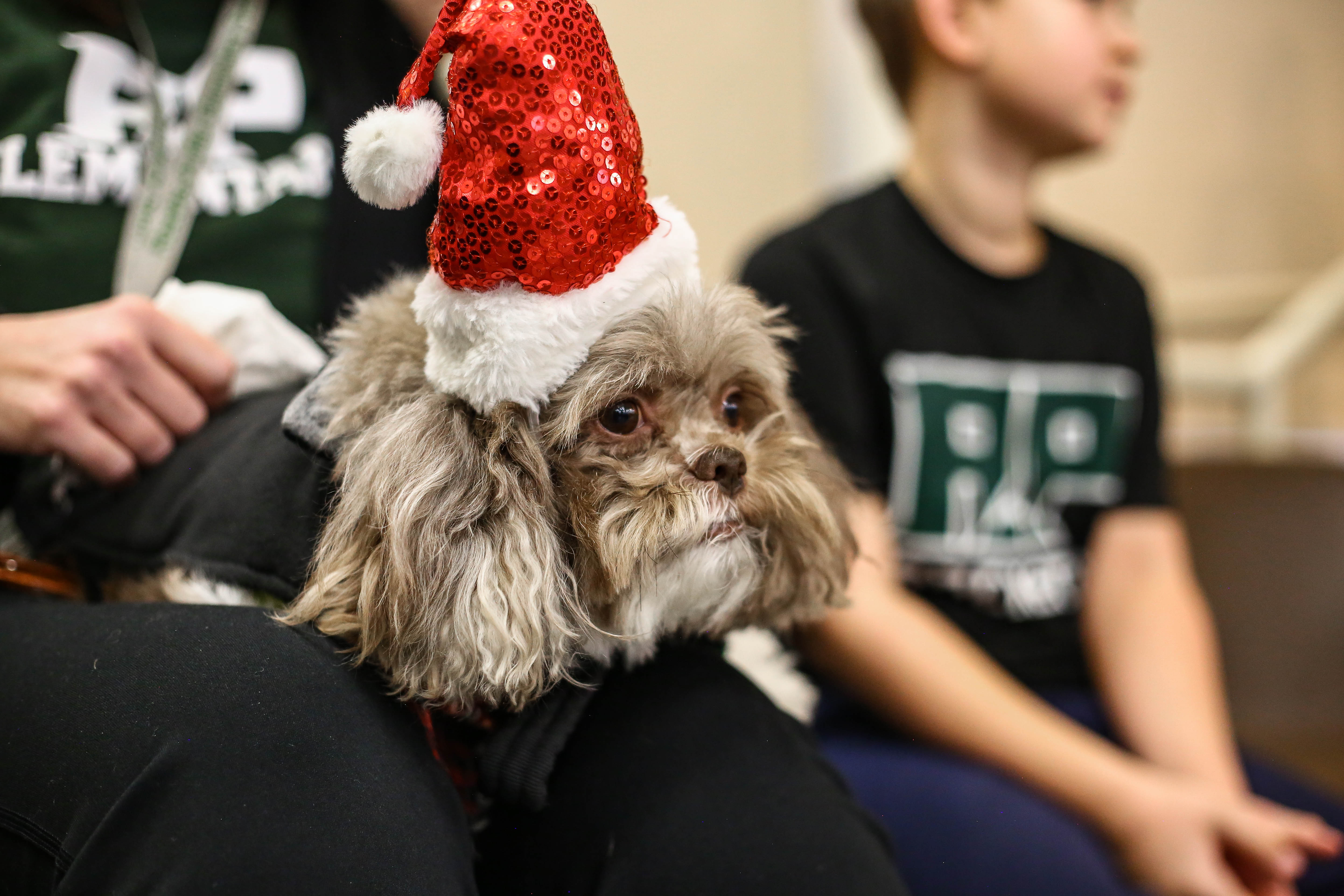 Elementary school wins money from Petco for humane society - mlive.com