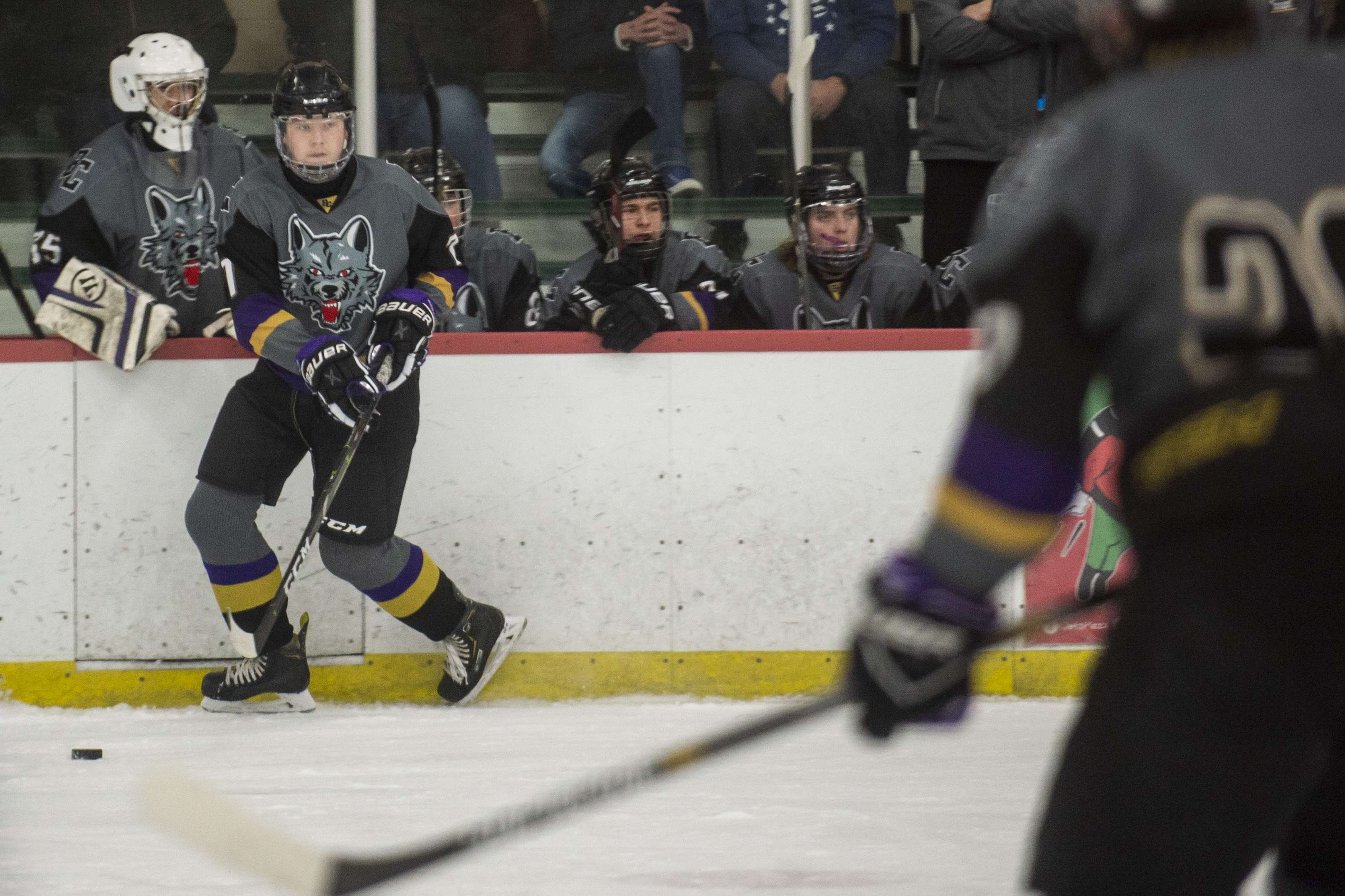 Bay Area Thunder hosts Bay City Wolves hockey - mlive.com