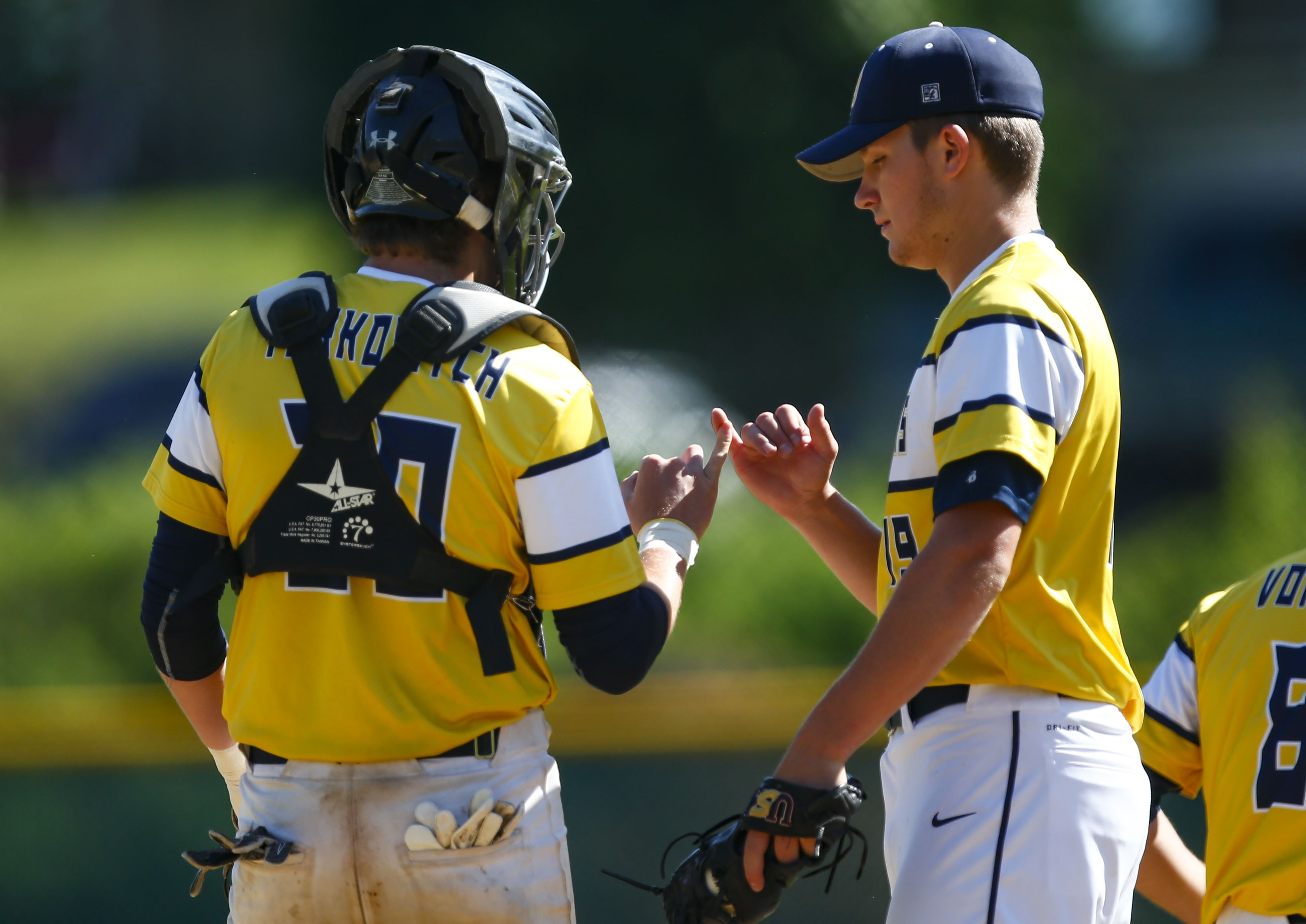 PIAA Class 3A baseball semifinals: Notre Dame vs. Lake-Lehman ...