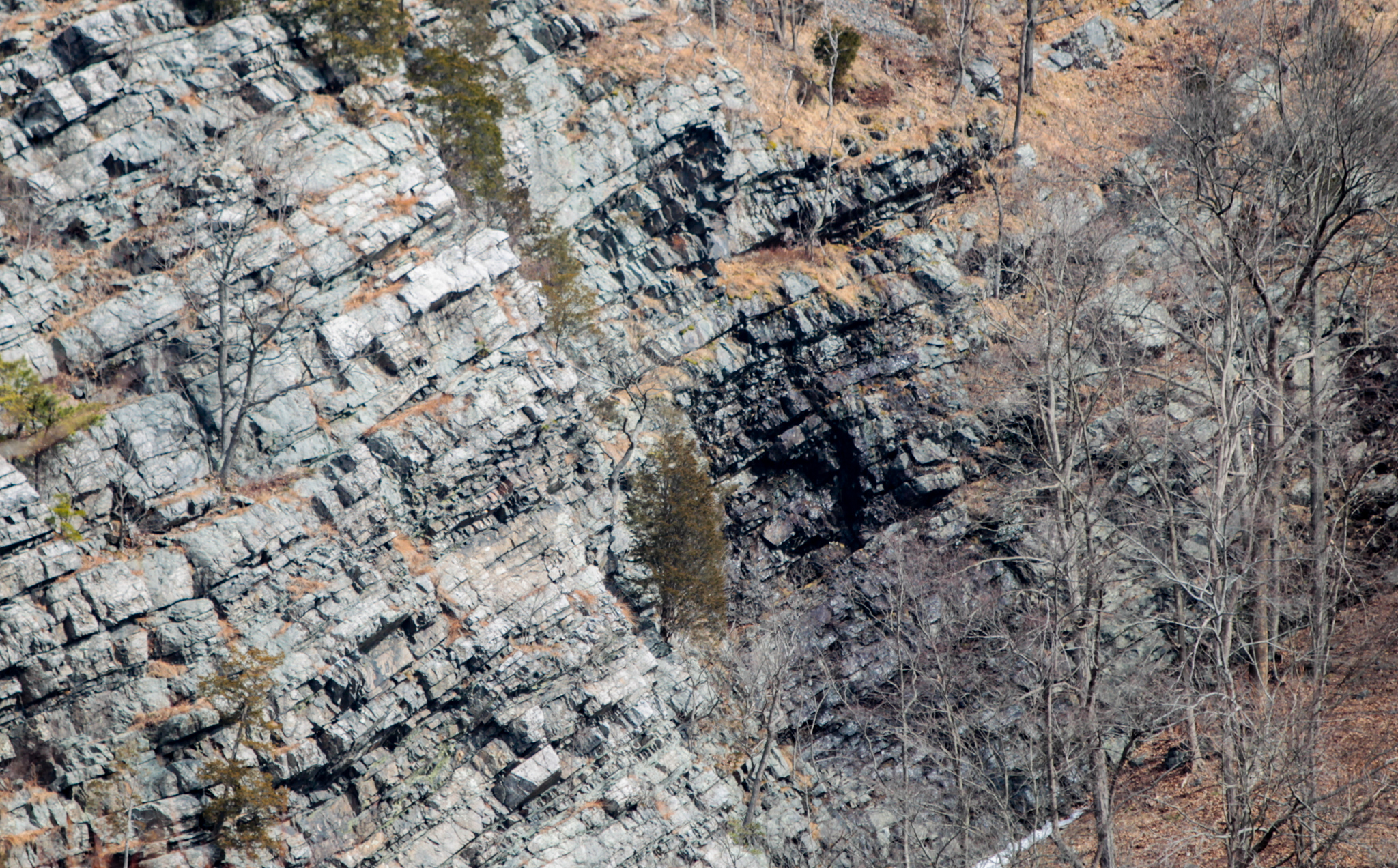 Delaware Water Gap forest fire Feb. 24, 2020 - pennlive.com