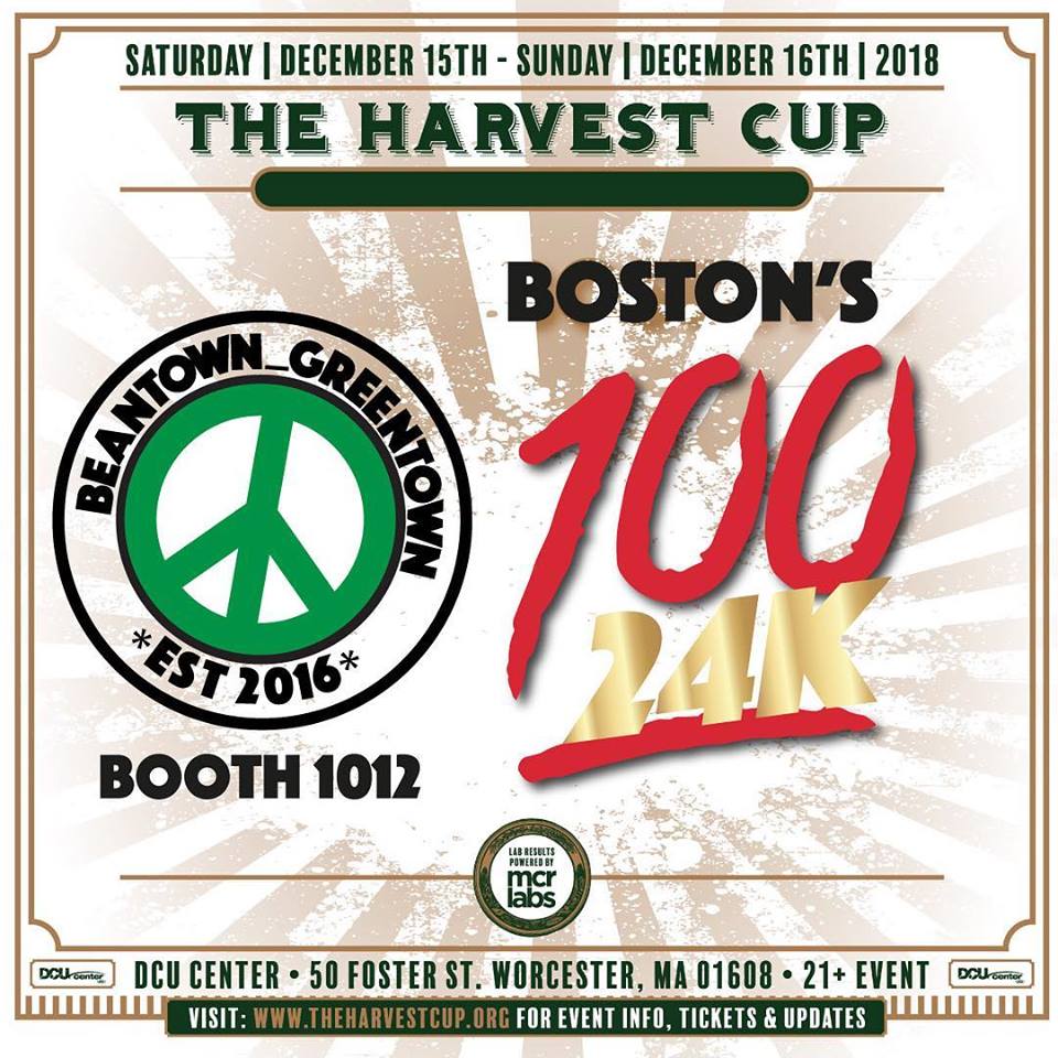 119-foot 24K gold joint rolled in Massachusetts sets new record ...