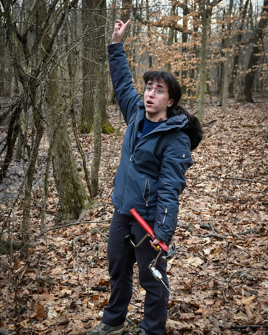 Tapping the sweet taste of maple syrup in the Great Swamp - nj.com