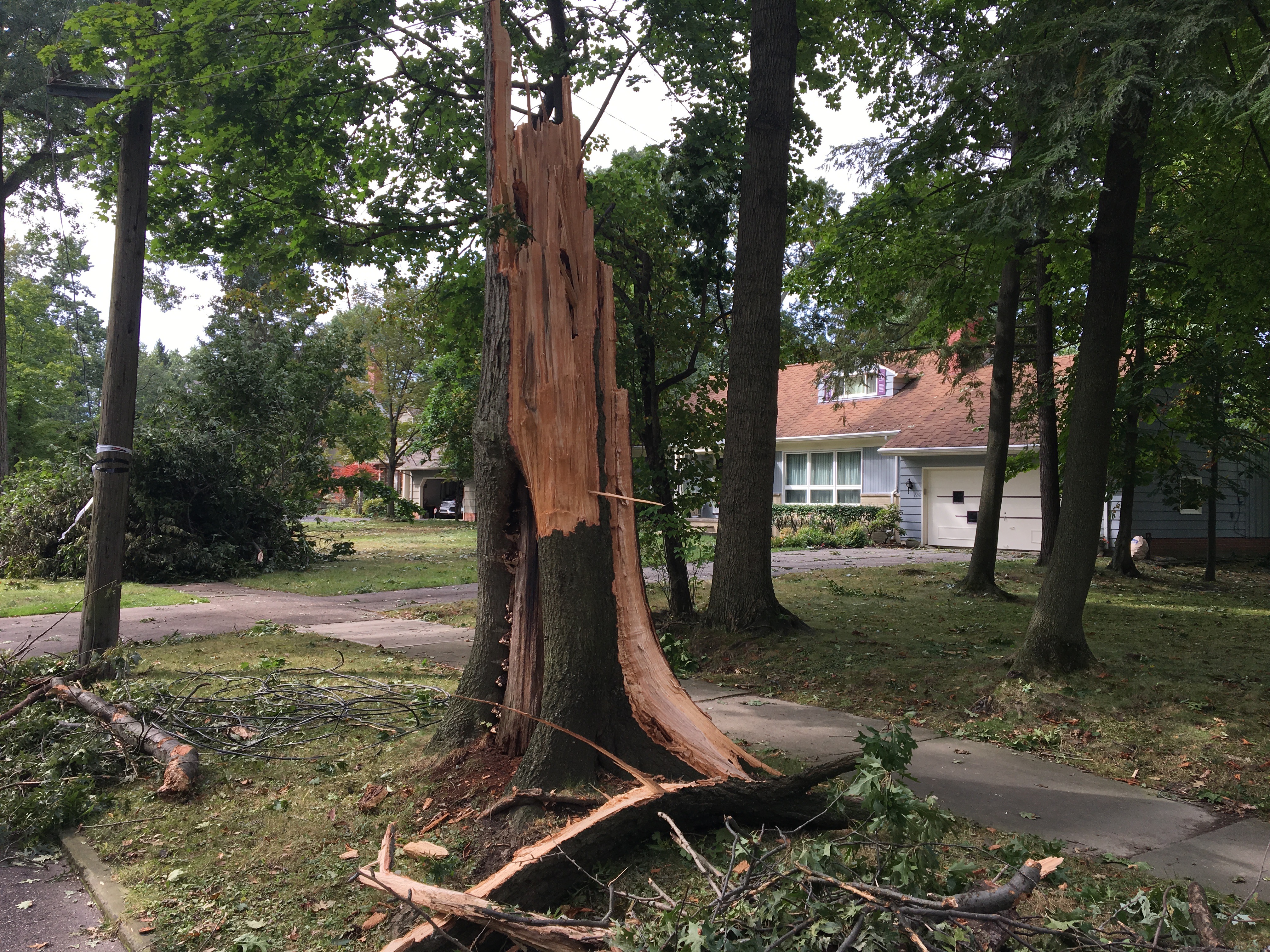 Cleveland Heights Sept. 2019 storm damage - cleveland.com