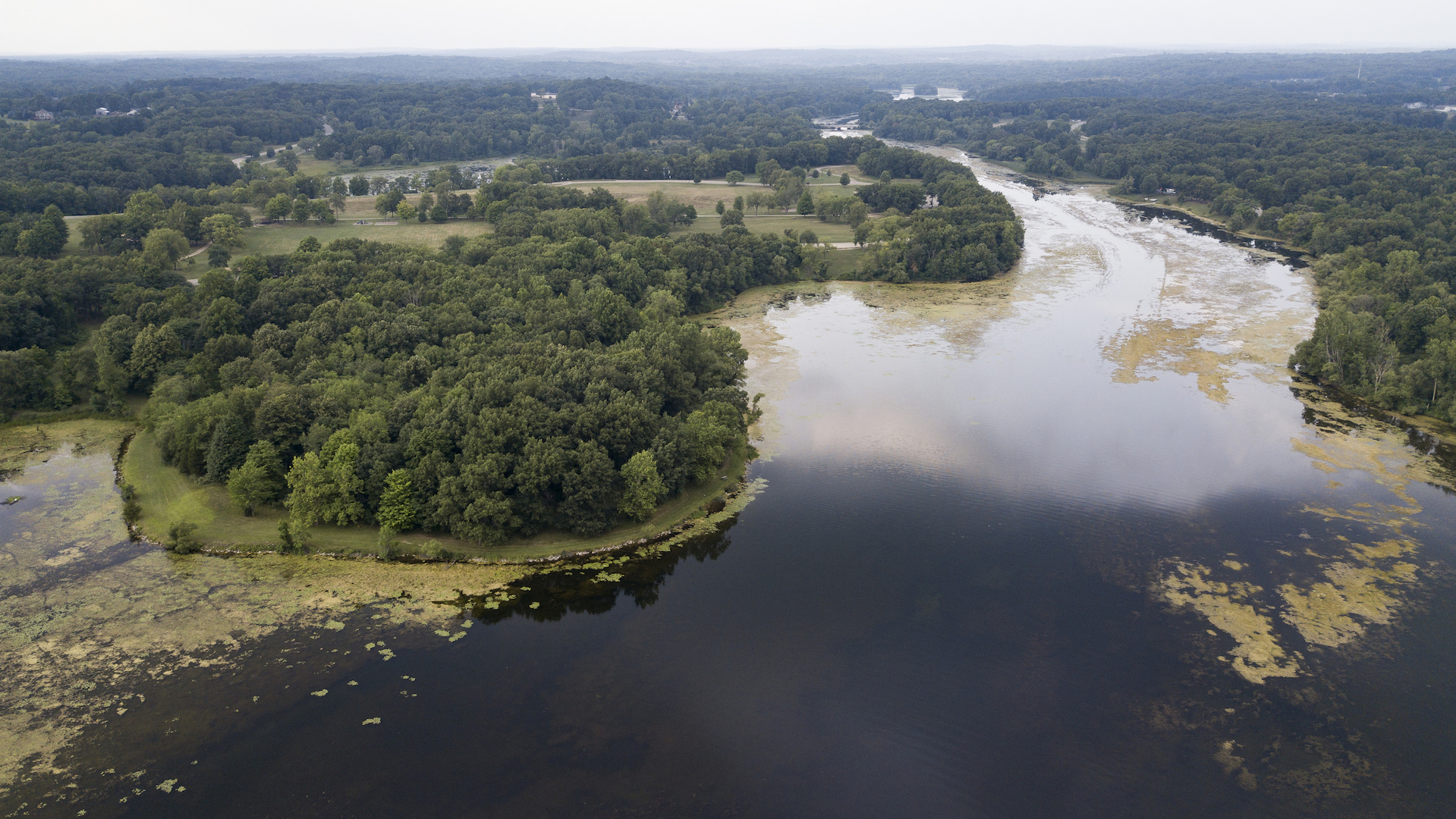 MSU-Fraunhofer lab develops PFAS treatment - mlive.com