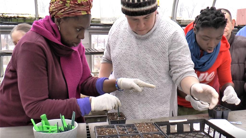 Staten Island sows seeds for spring planting - silive.com