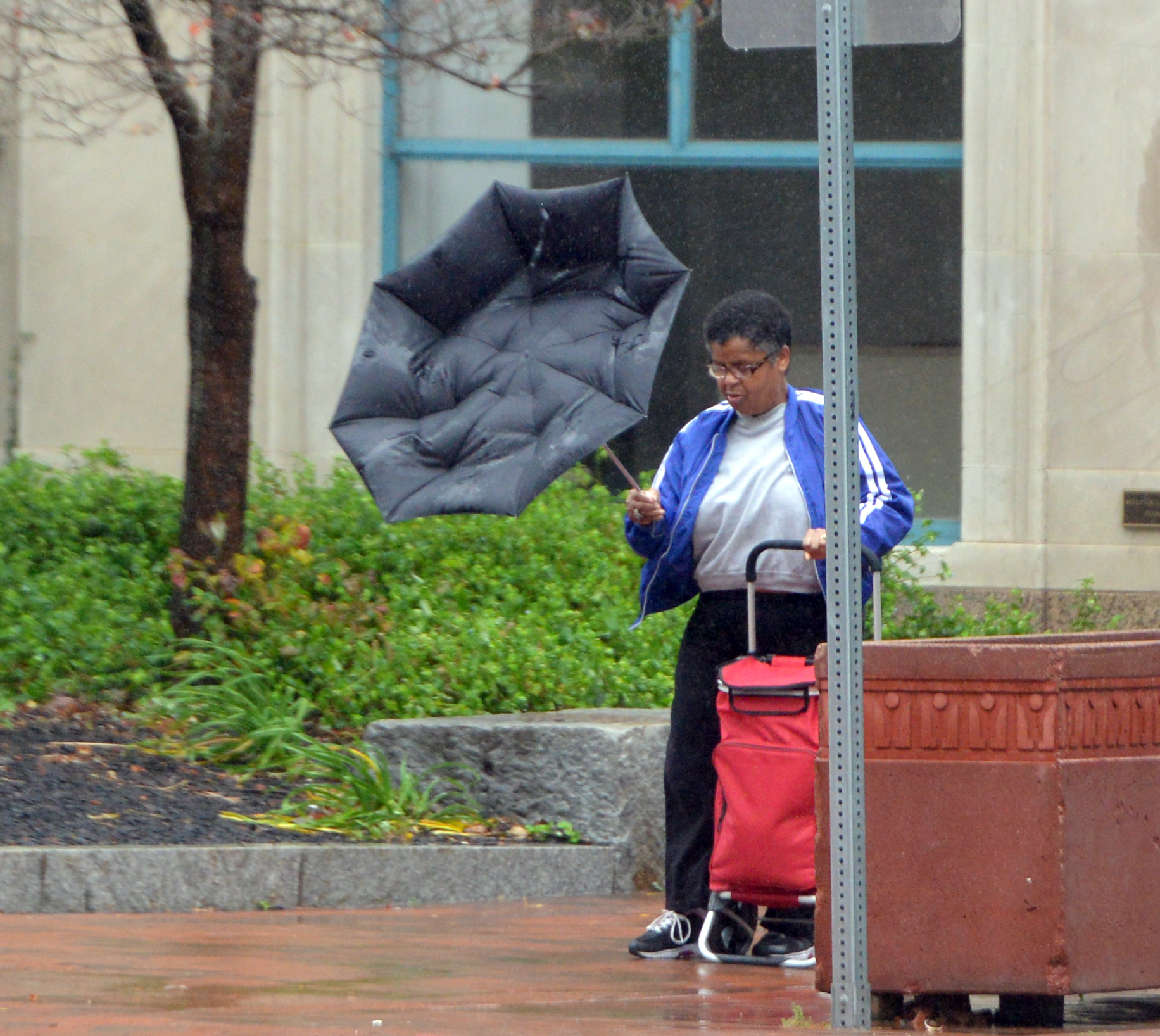 Rain, wind make umbrellas tough tool in downtown Springfield - masslive.com
