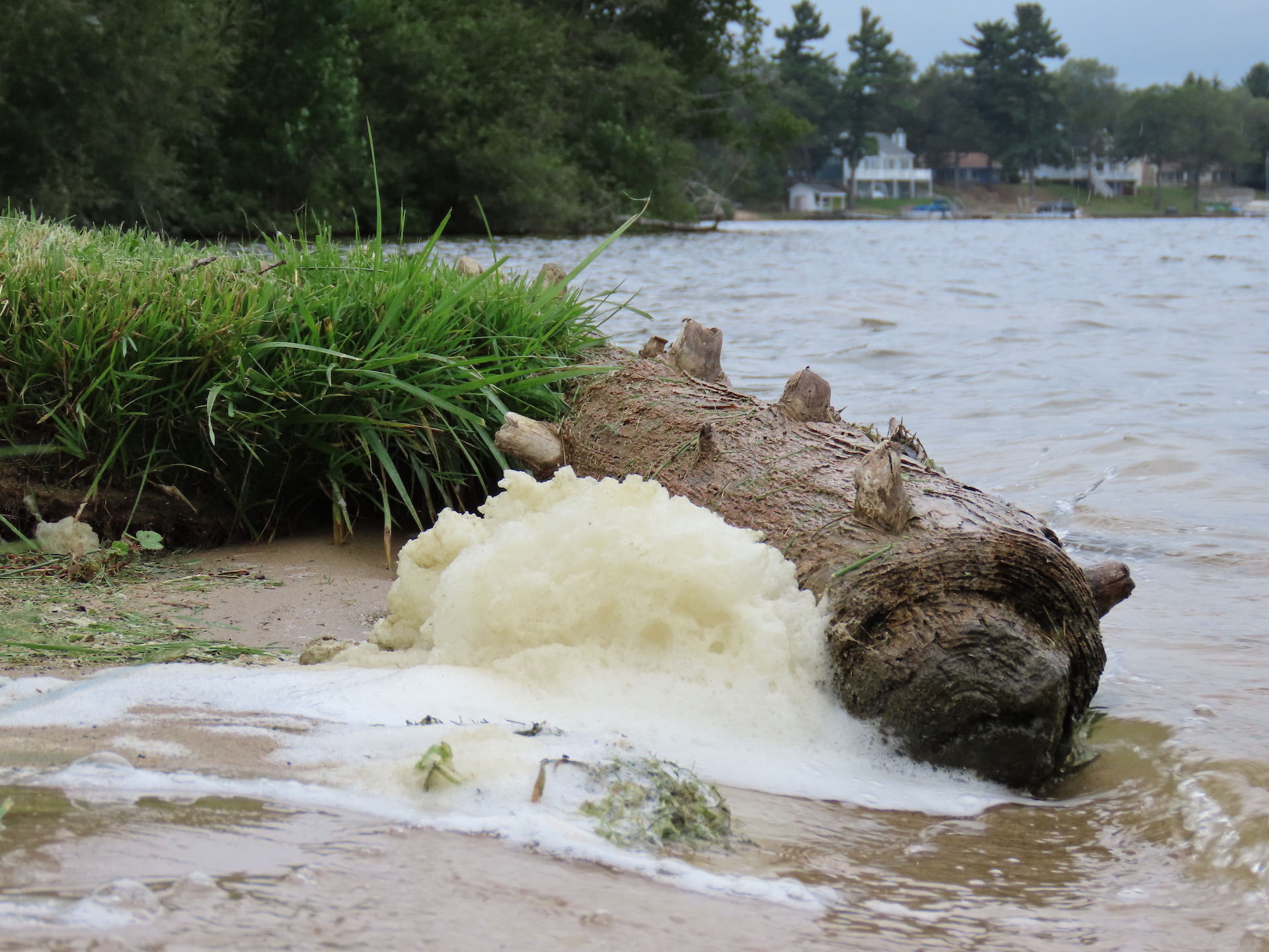 Michigan PFAS activists gather in Oscoda to demand cleanup - mlive.com