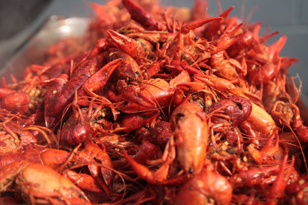 Louie's Trophy House hosts 2017 Gumbo Cook-Off - mlive.com