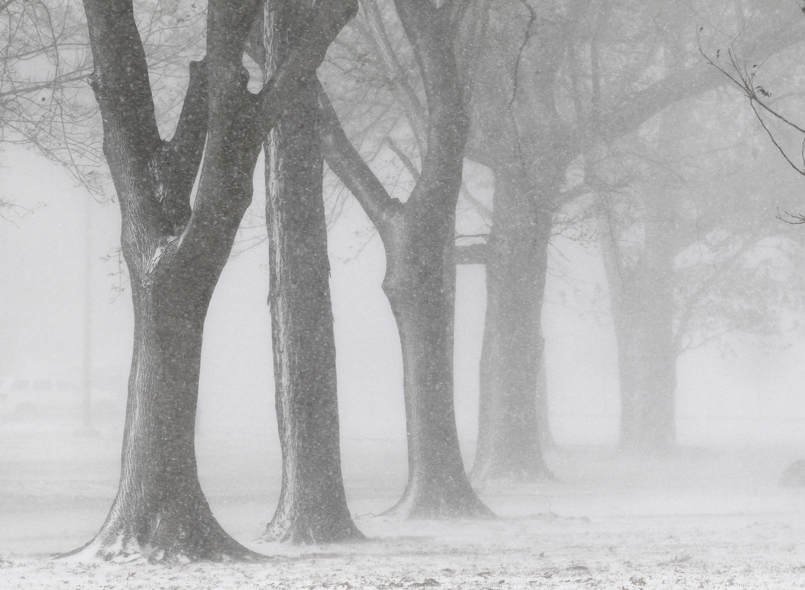 First blast of snow in the Cleveland region - cleveland.com
