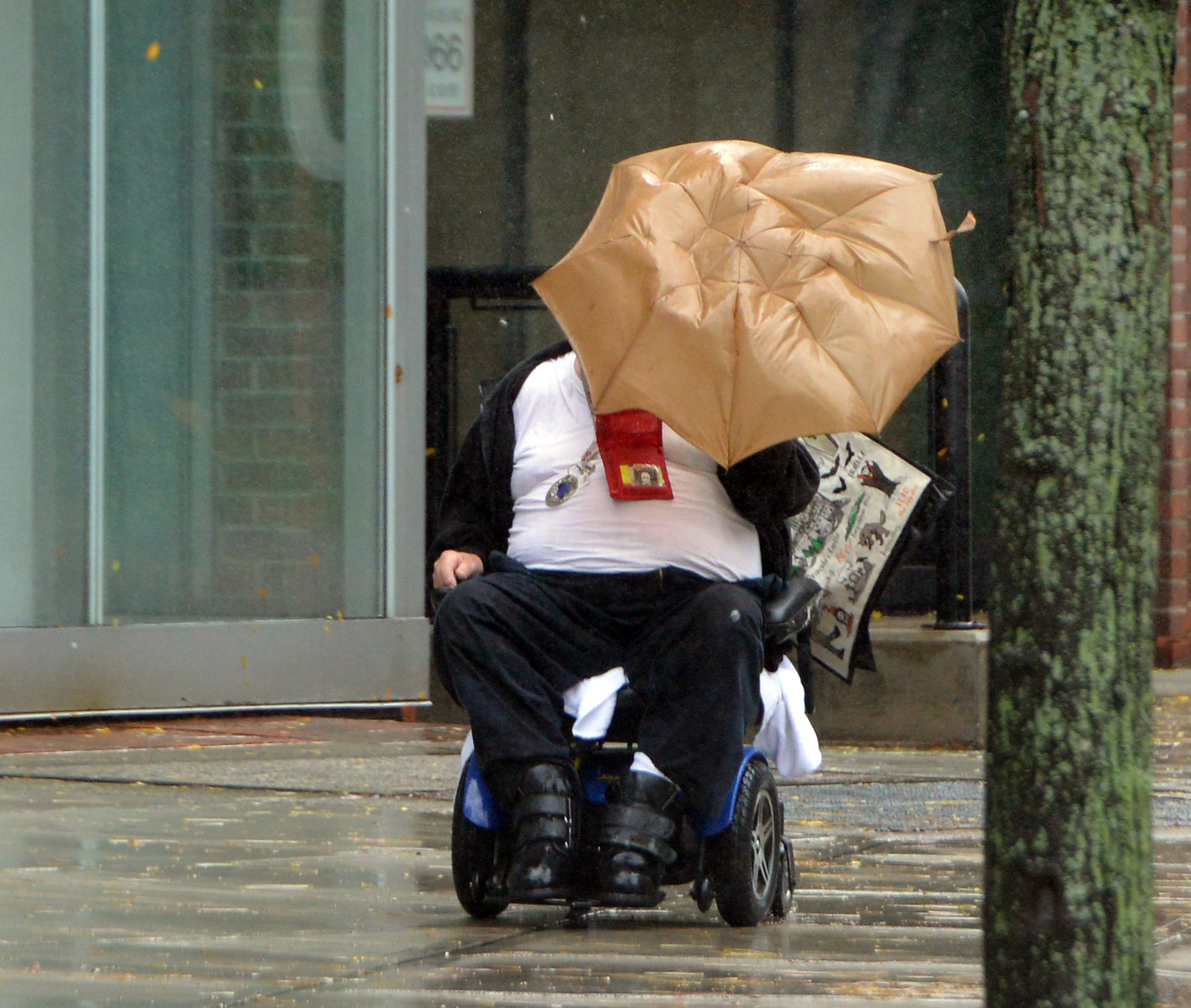 Rain, wind make umbrellas tough tool in downtown Springfield - masslive.com