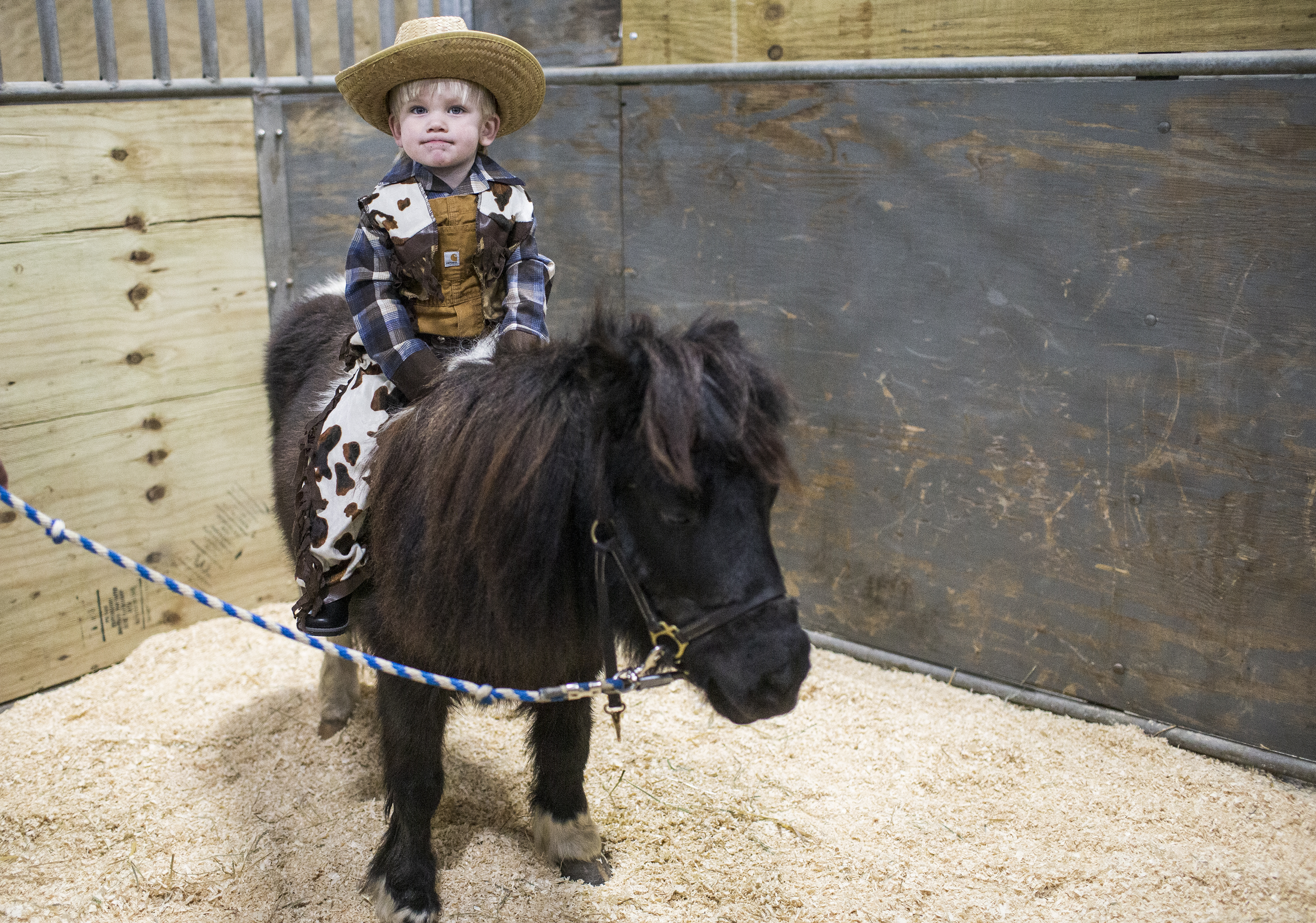 Must-see portraits from the Pa. State Farm Show - pennlive.com
