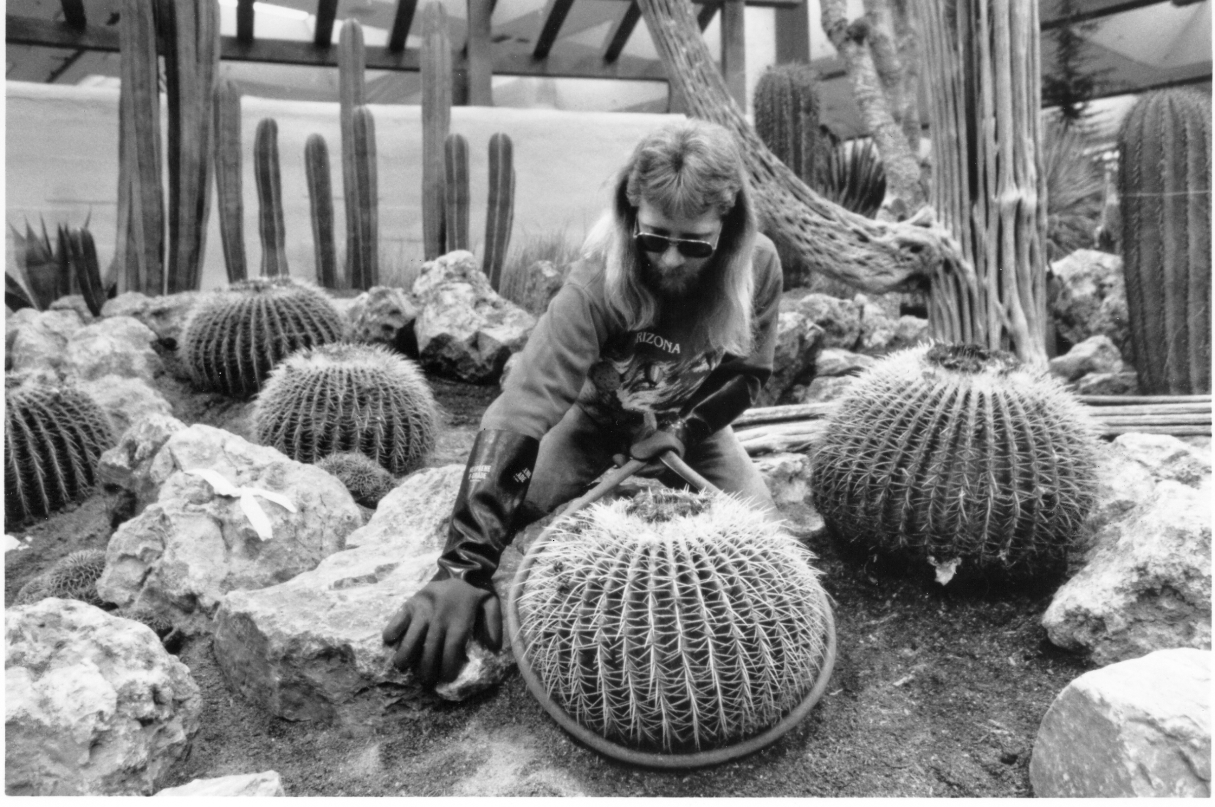 Philadelphia Flower Show: Vintage photos from the gardening event's ...