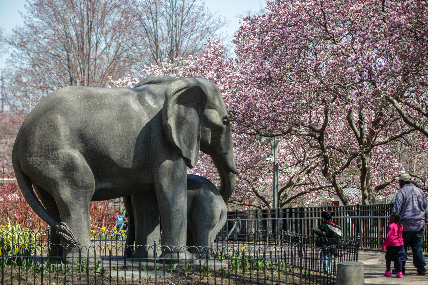 Philadelphia Zoo opens Creatures of Habitat exhibit and Zoo Key ...